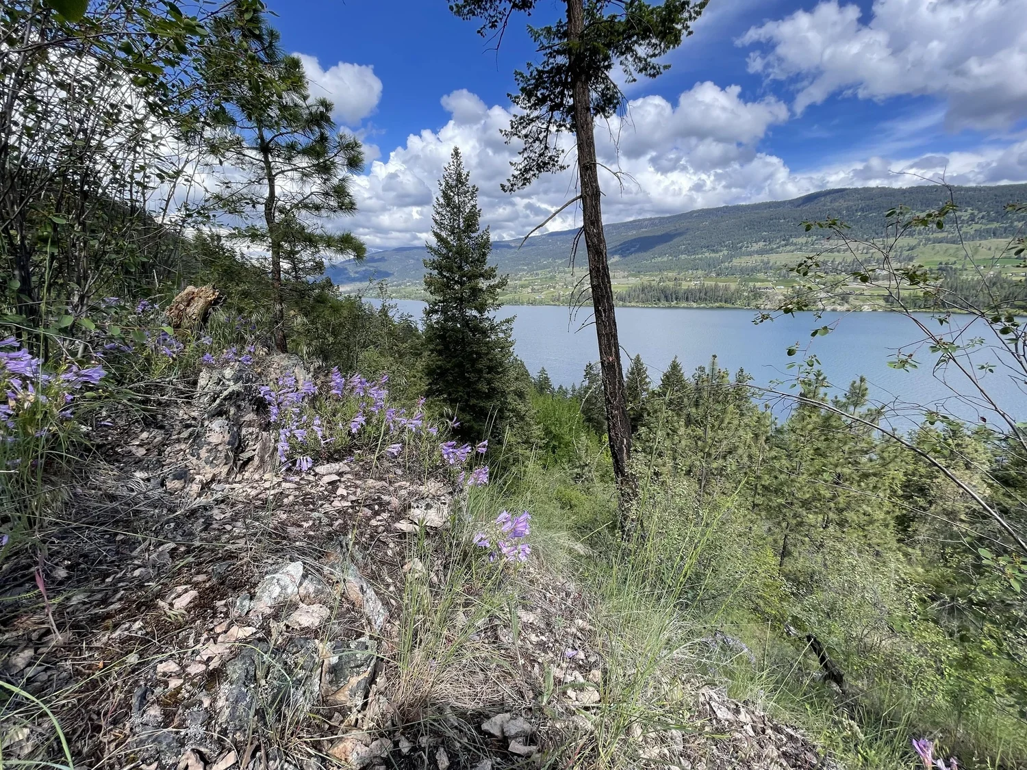 Raptor Loop, Spion Kop Trails, Lake Country — Exploratory Glory Travel Blog