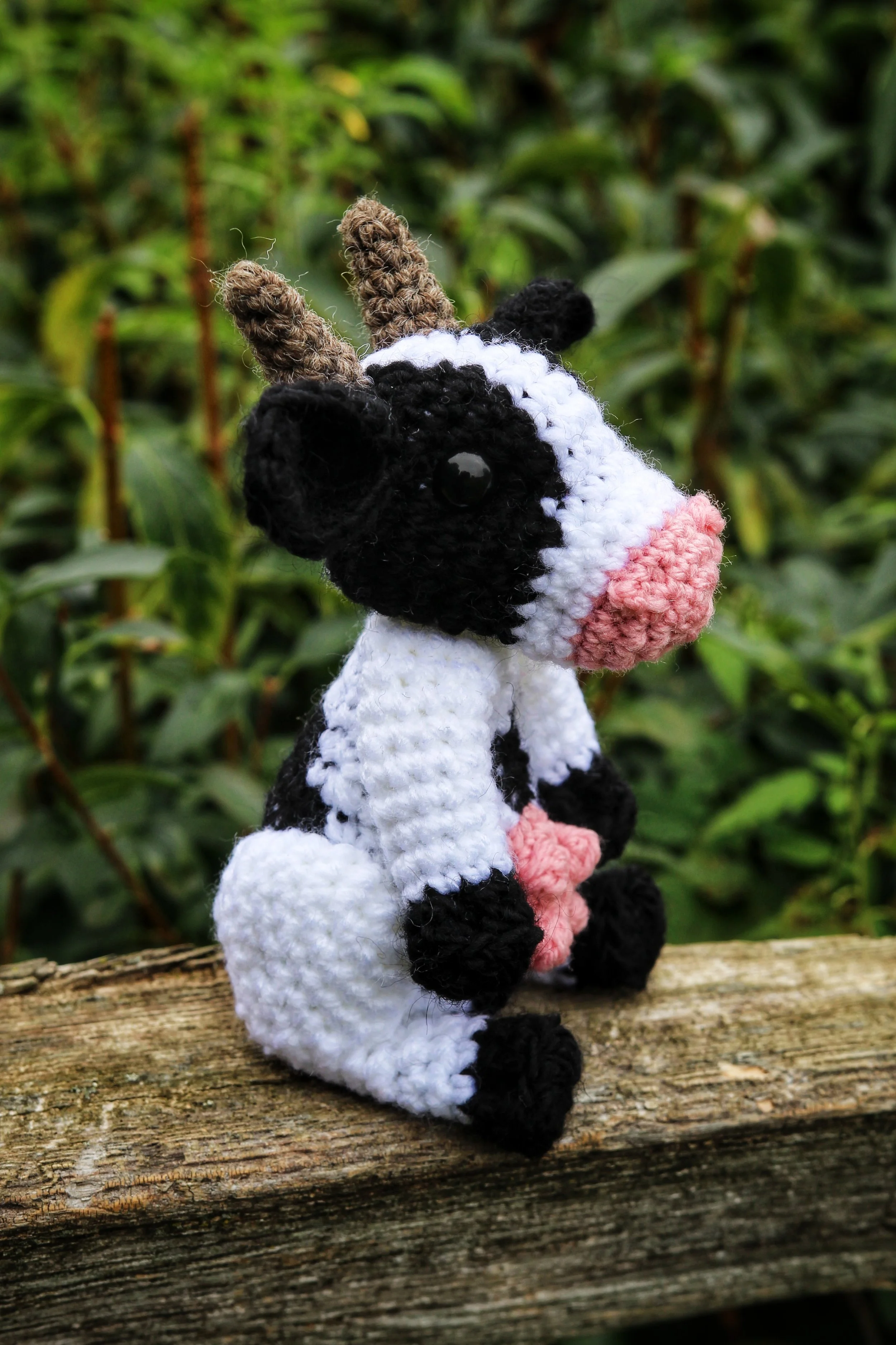 Cute Critters - Set 11 — Crafty Intentions