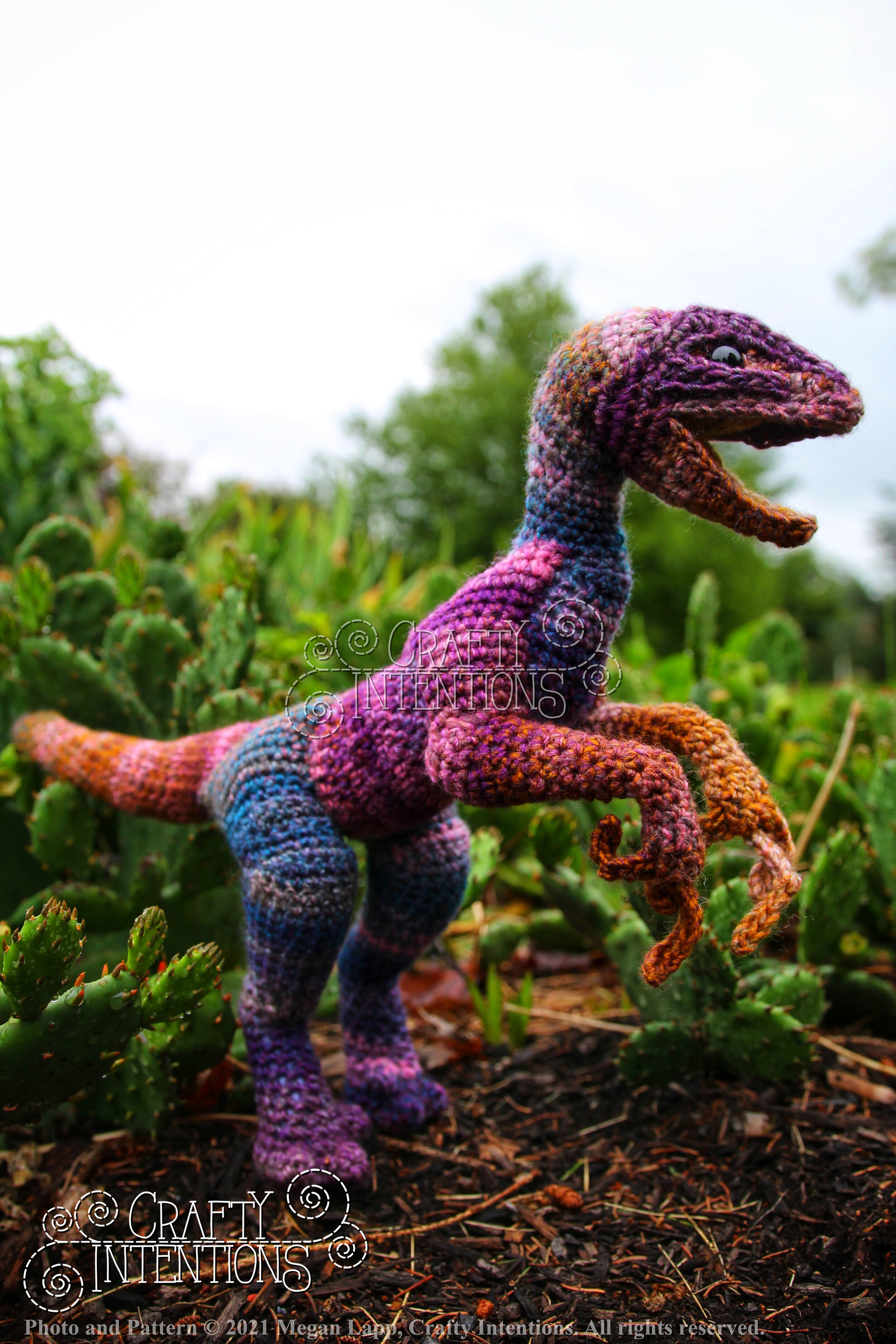 Velociraptor — Crafty Intentions