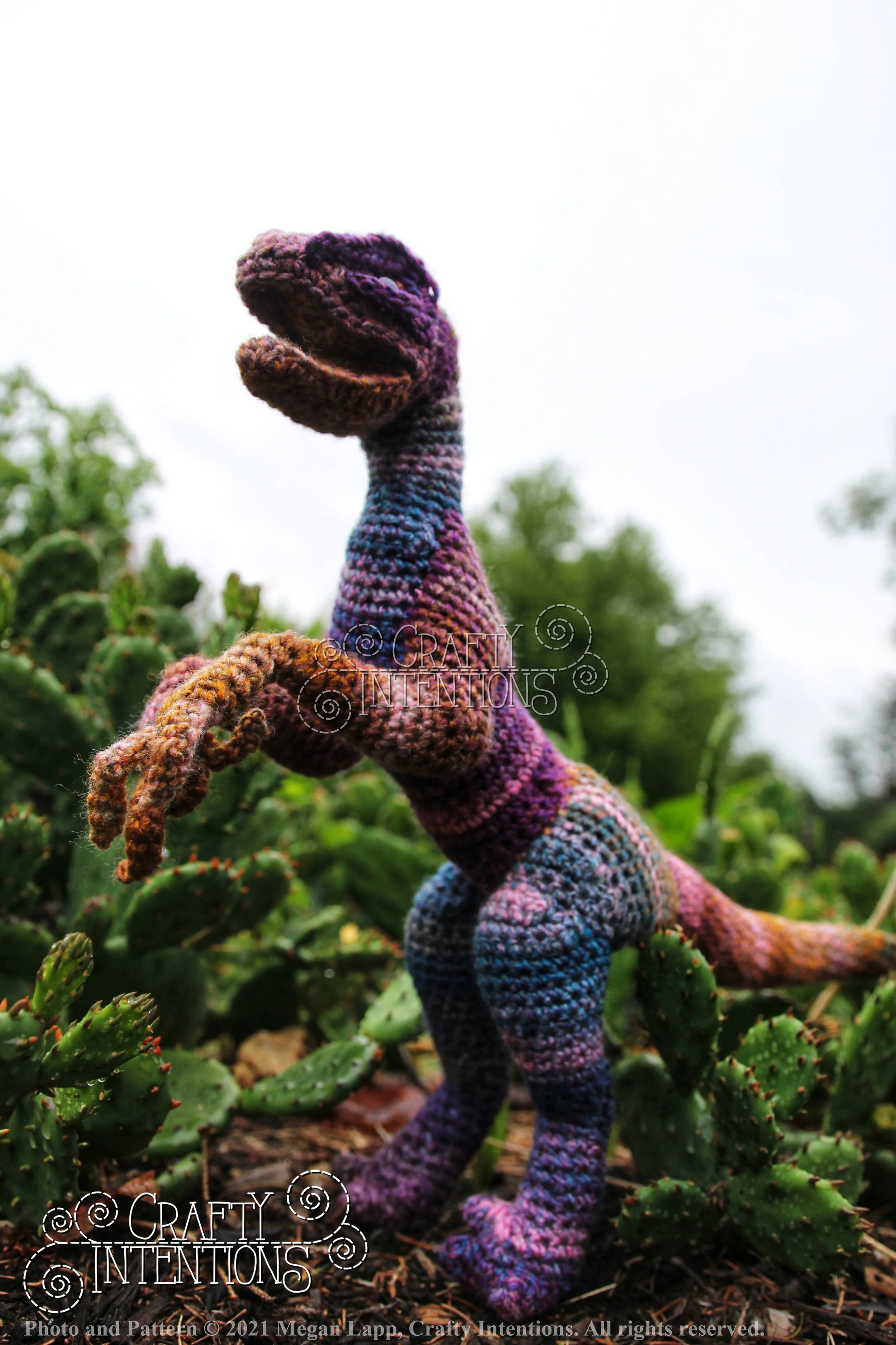 Velociraptor — Crafty Intentions