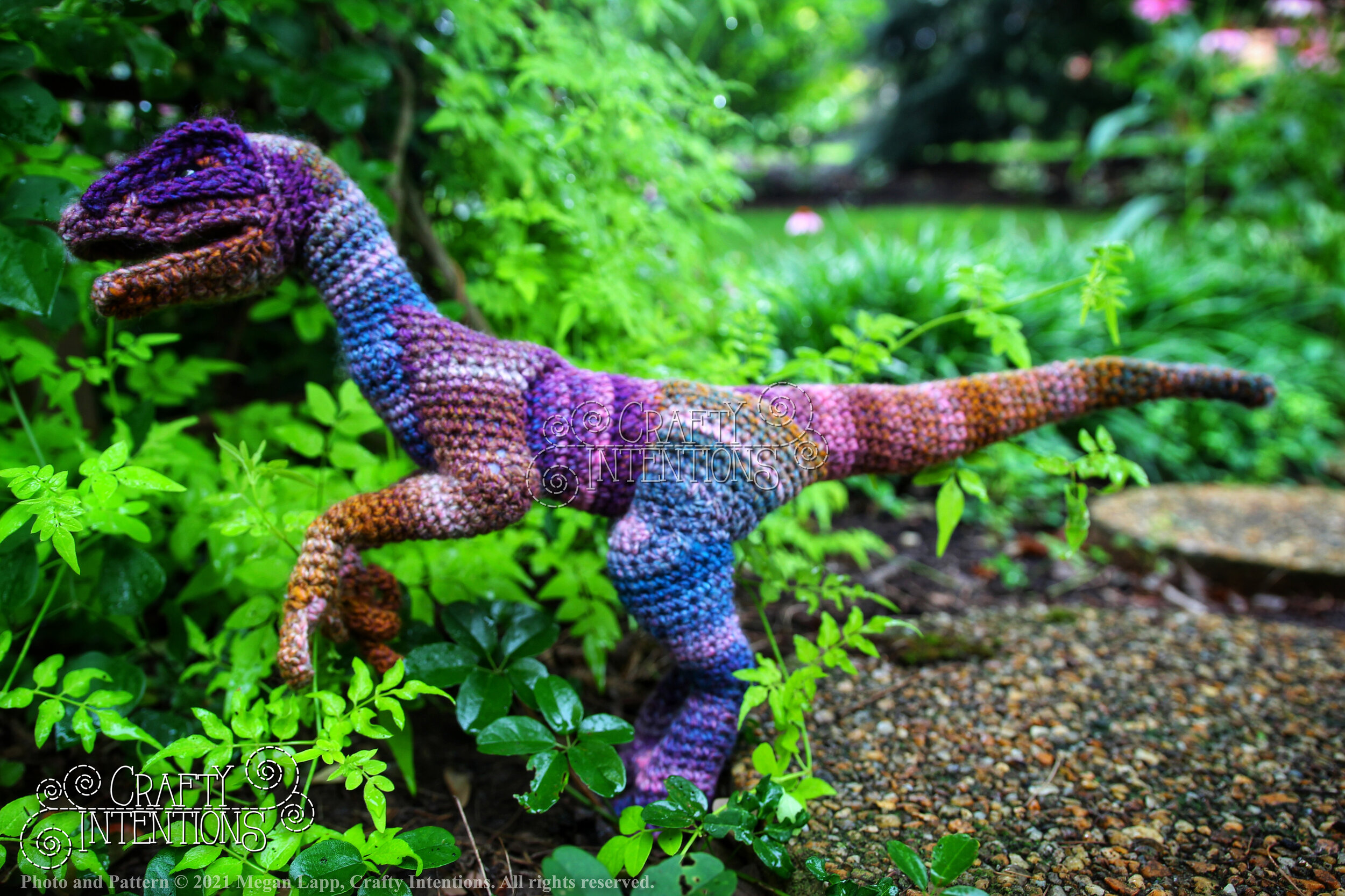 Velociraptor — Crafty Intentions