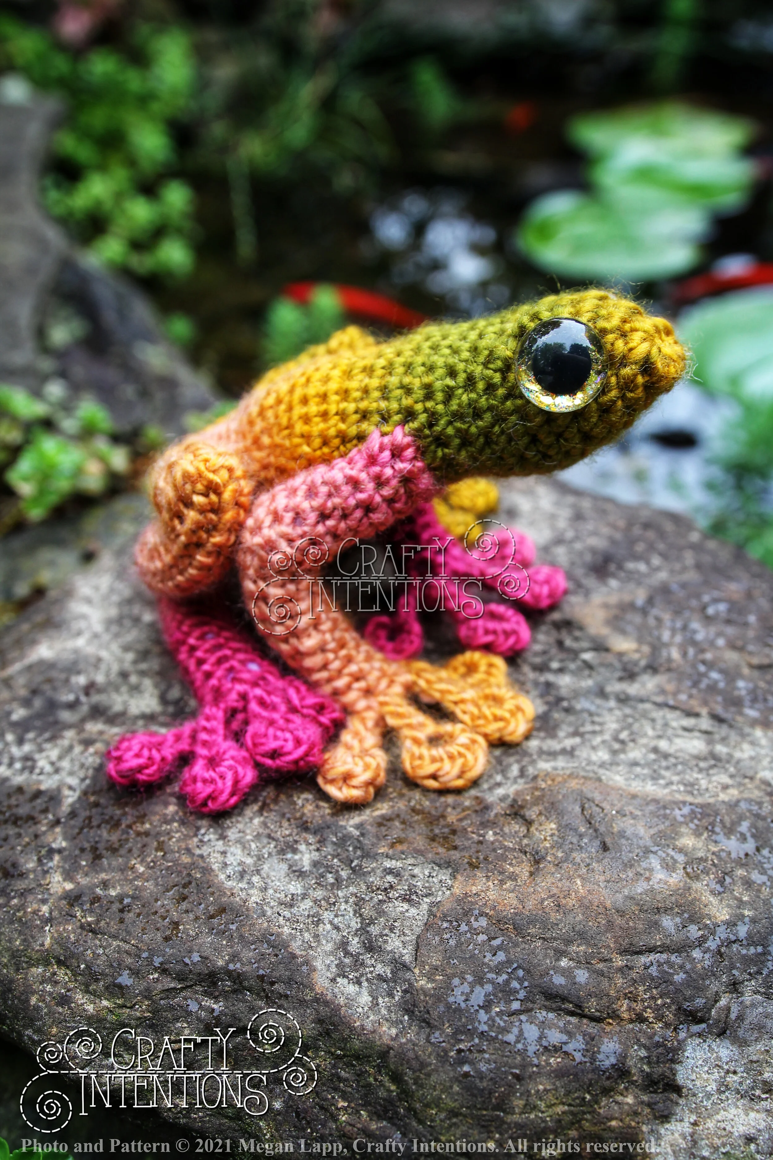 Frogs — Crafty Intentions