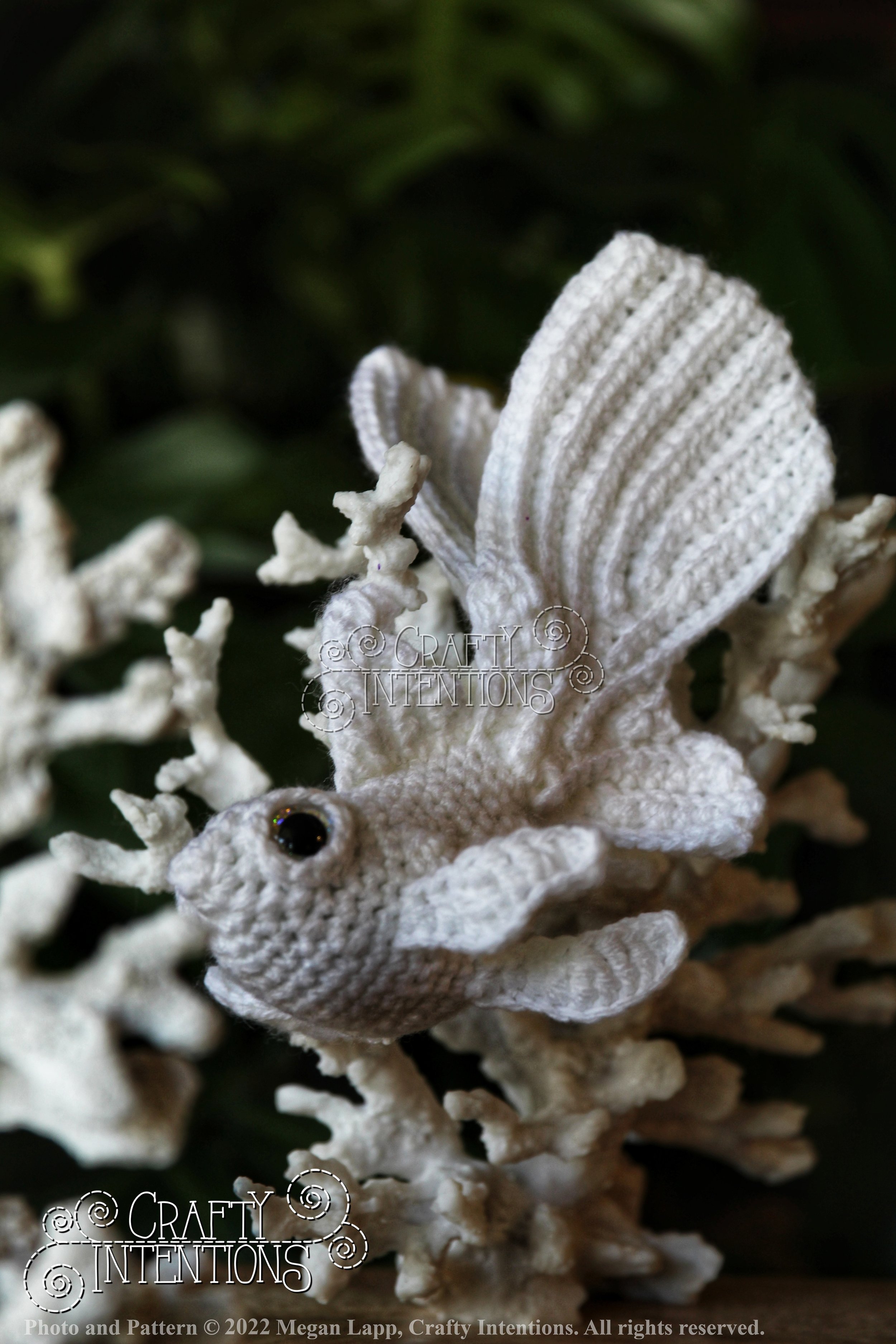 Goldfish — Crafty Intentions