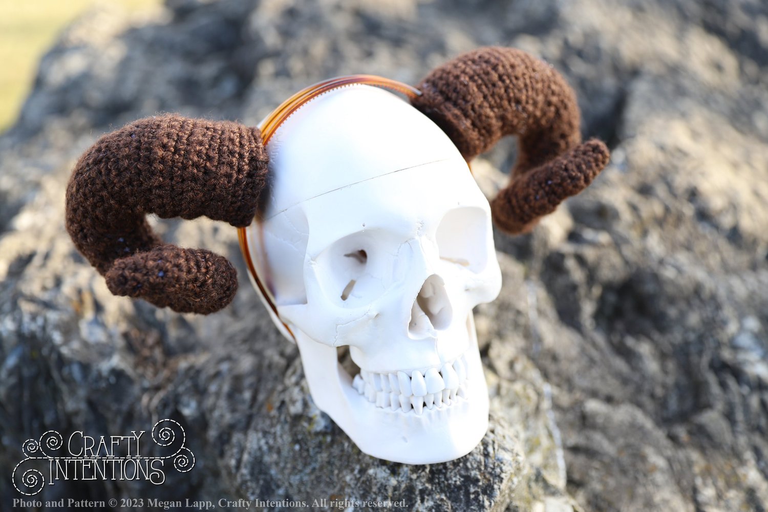 Human Skull With Ram Horns