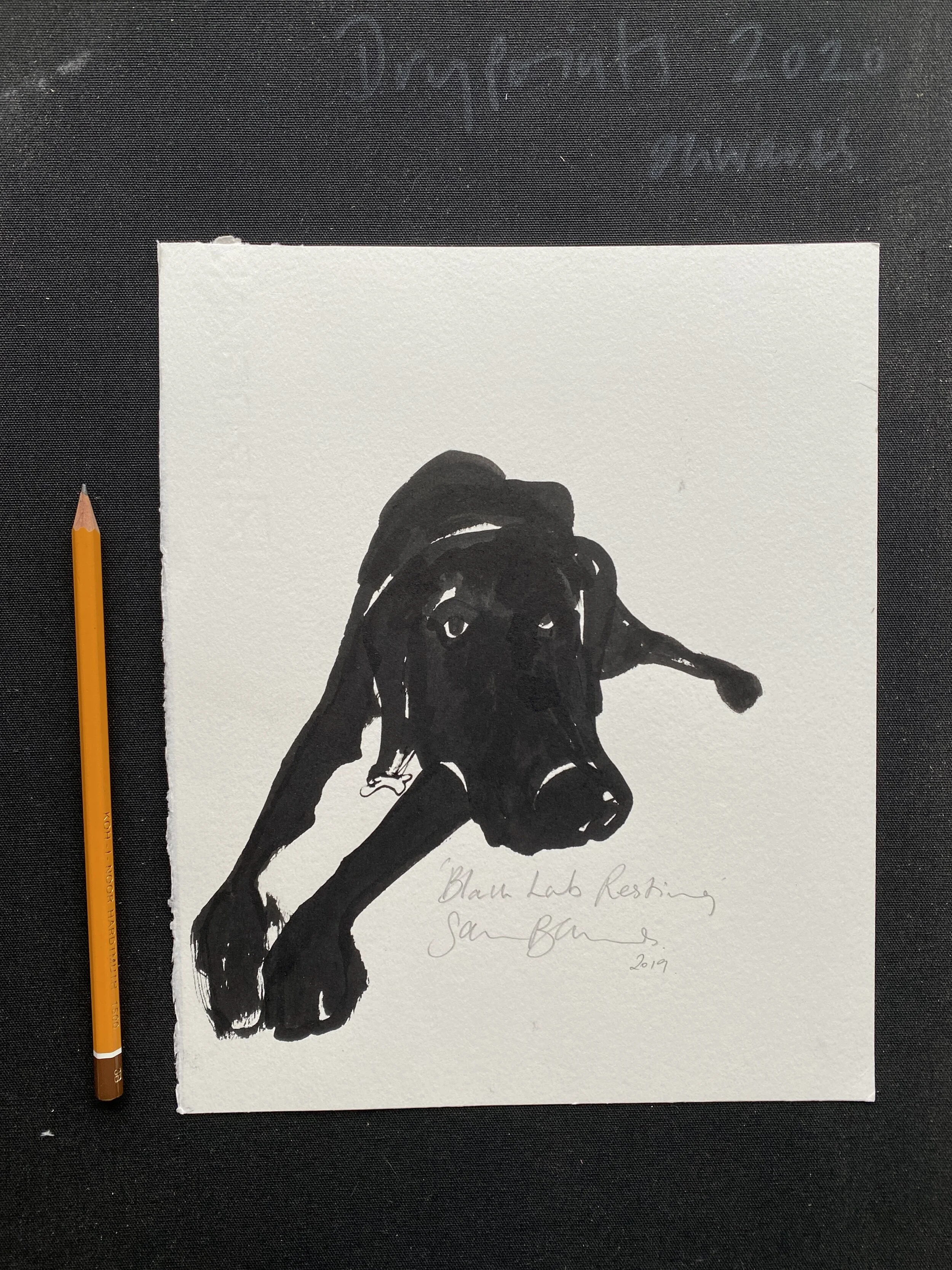 'Black Lab Resting' Original Ink Drawing — Samantha Barnes