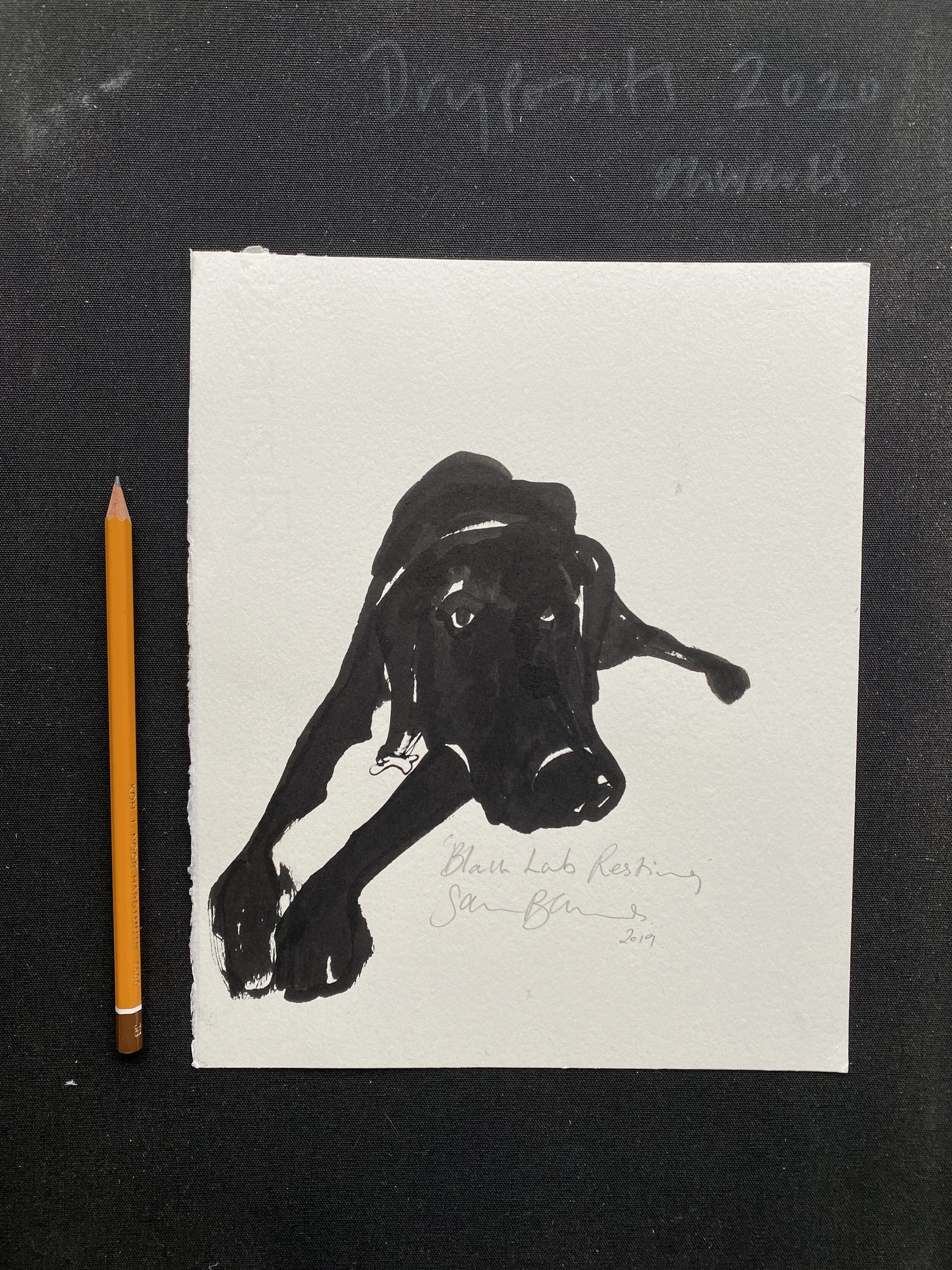 'Black Lab Resting' Original Ink Drawing — Samantha Barnes