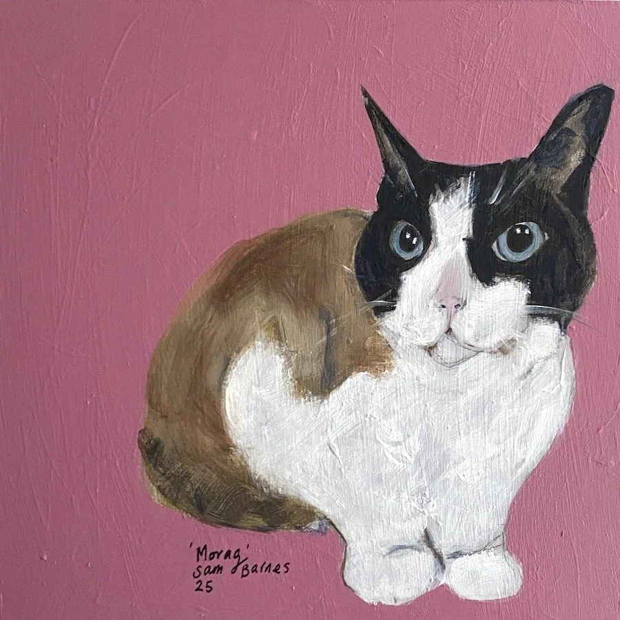 DOGS 🐾 | Commission Your Portrait — Samantha Barnes