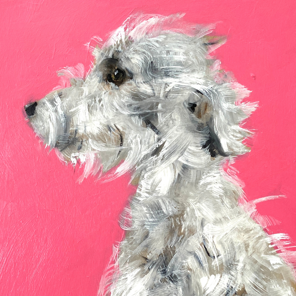 DOGS 🐾 | Commission Your Portrait — Samantha Barnes