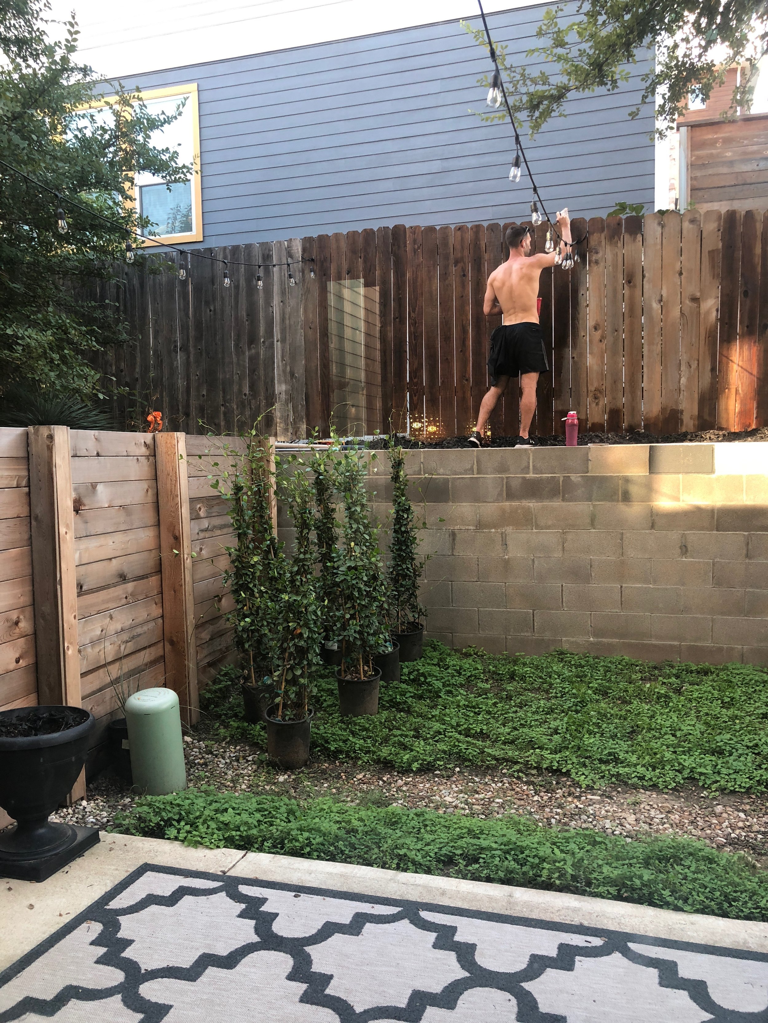 How My Ugly Backyard Became My Favorite Place in My Home — Regina ...