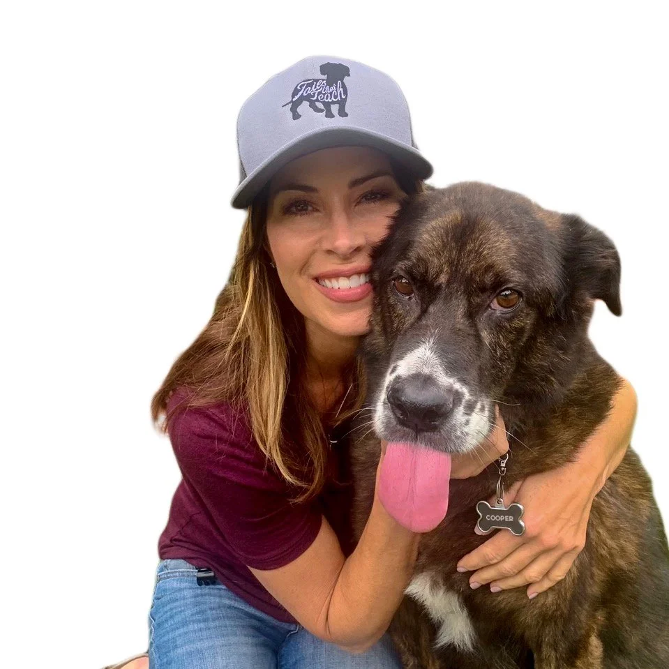 NATIONAL RESCUE DOG DAY