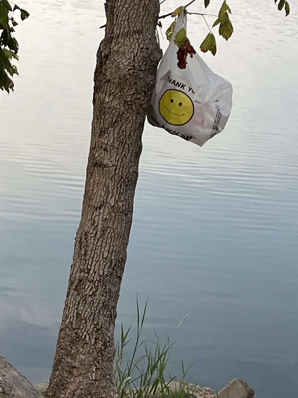 Rainey Street “Drownings:” The Austin Smiley Face Killer Connection and ...