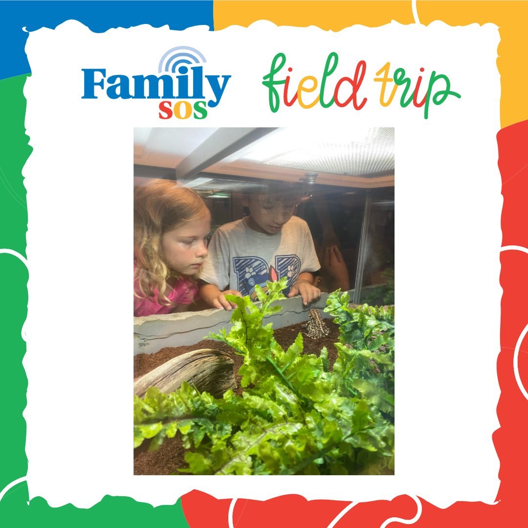Contact — Family SOS: A local non-profit, child-centered organization