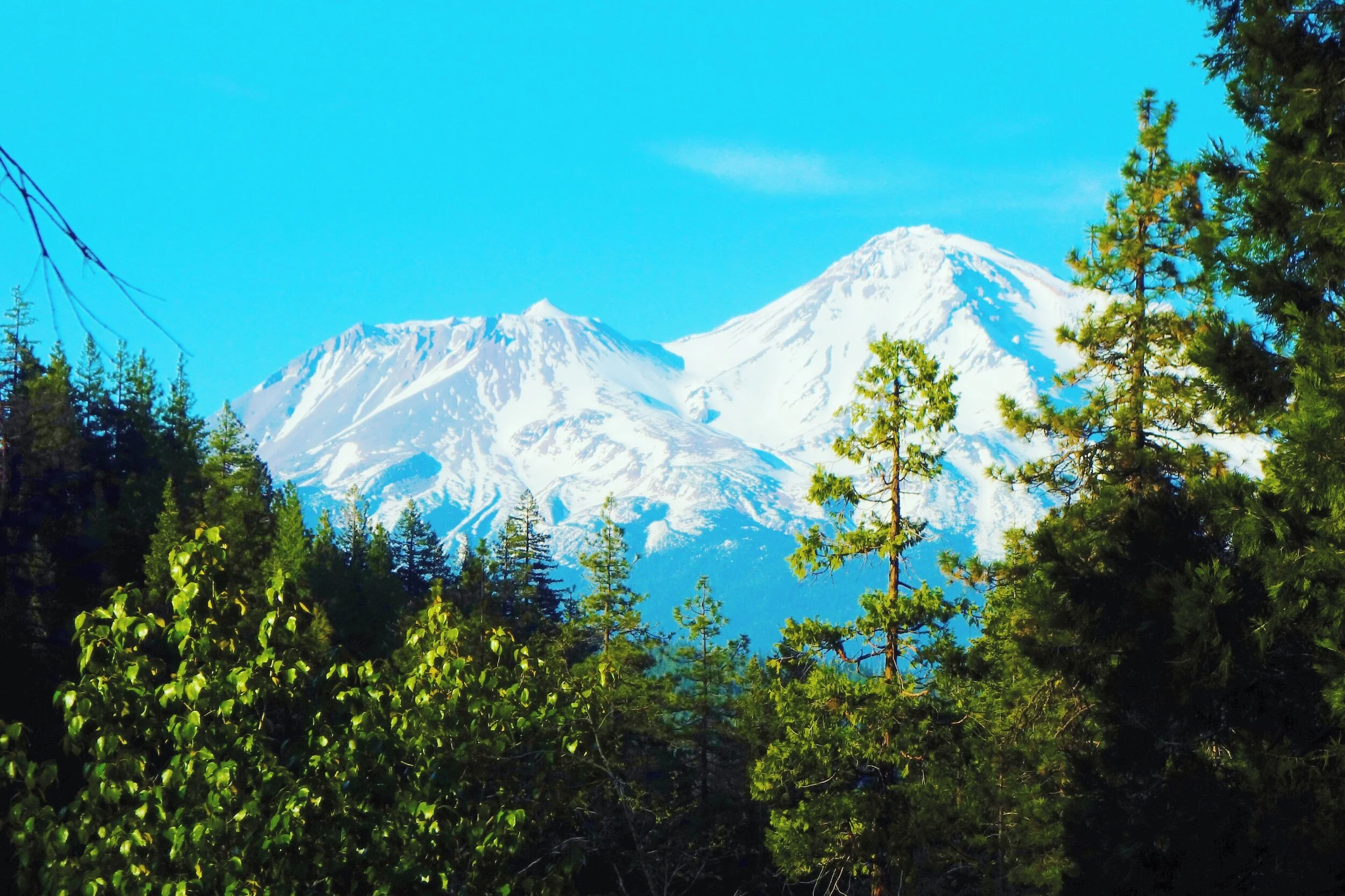 Mt. Shasta Spiritual Tours - Homepage
