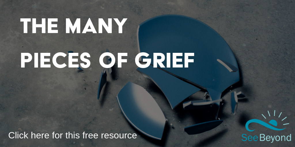 GOOD Grief—How to Get Started on the Journey — seebeyond