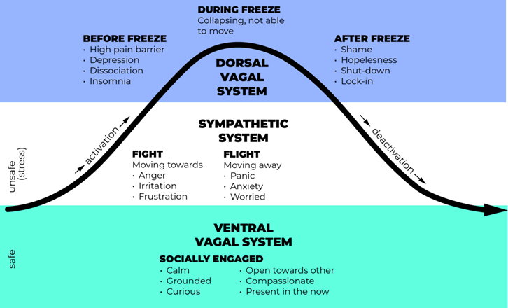 Polyvagal Theory Chart Of Trauma Response