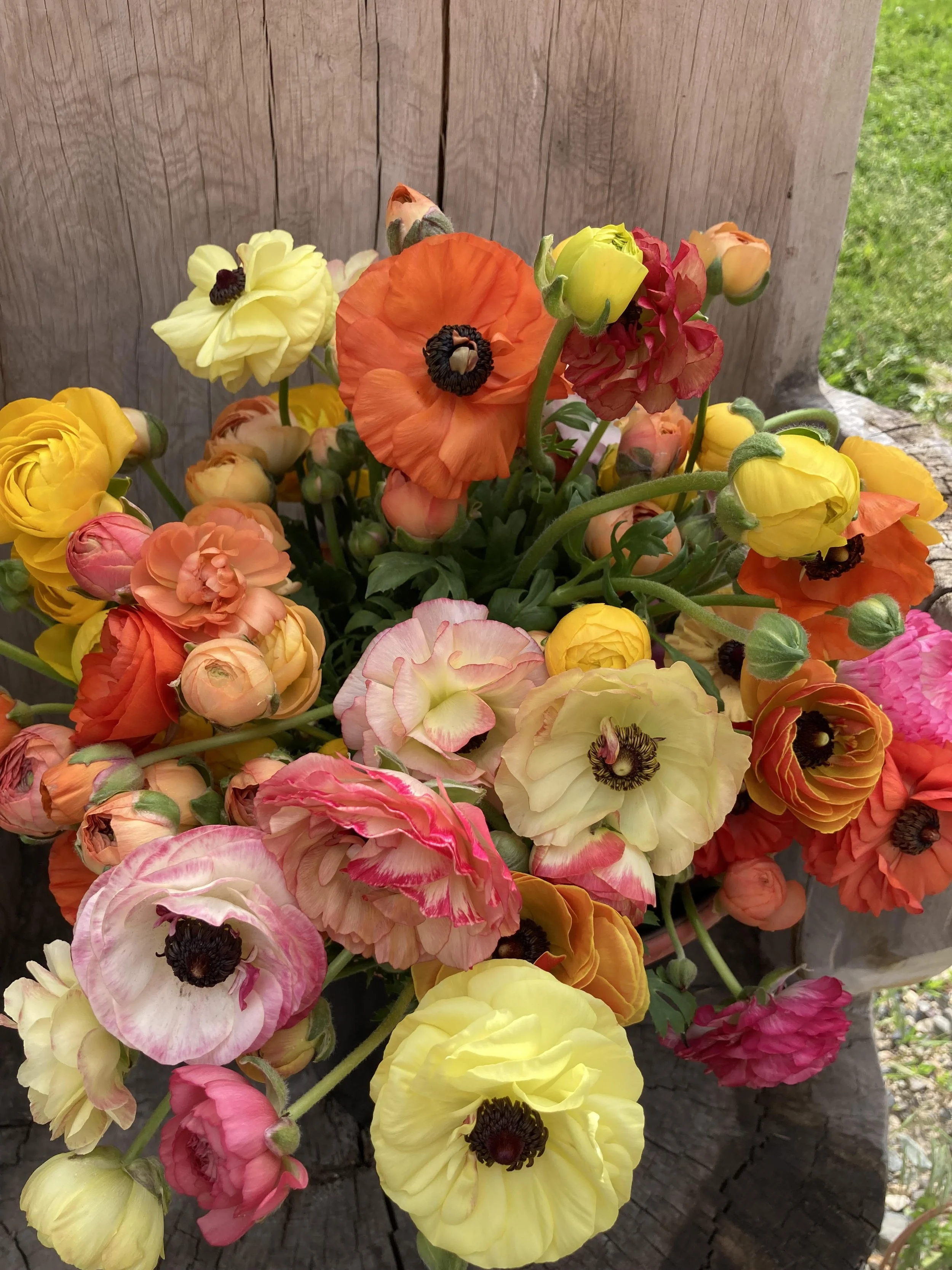 Shop — Gardenwerks