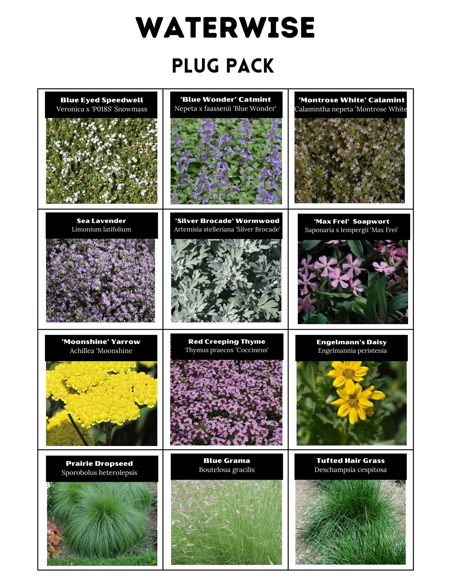 Shop — Gardenwerks