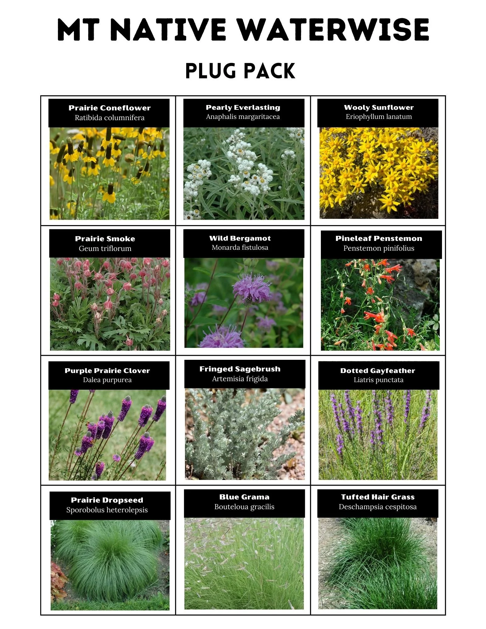 Shop — Gardenwerks