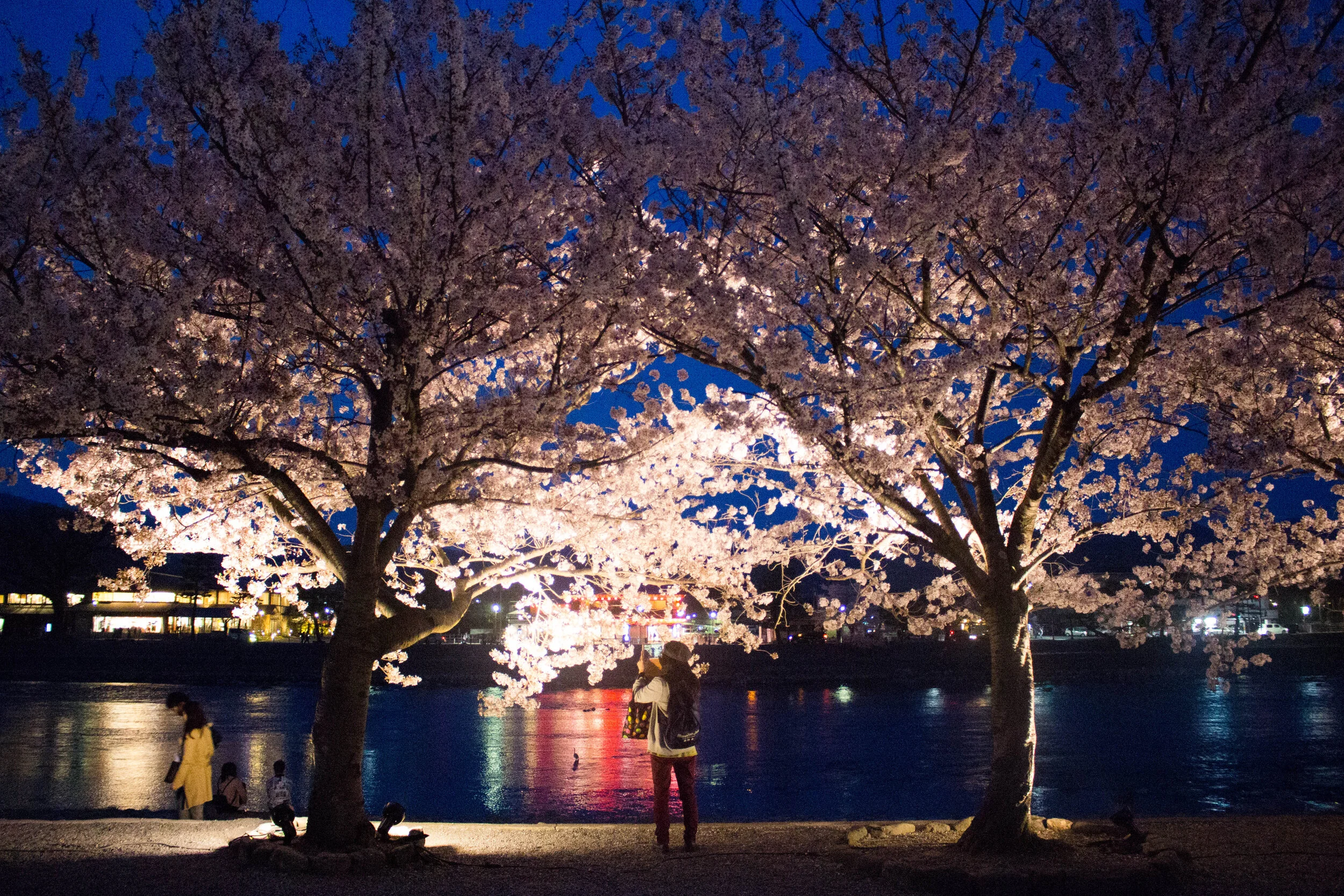 Japan — Leah Valenti