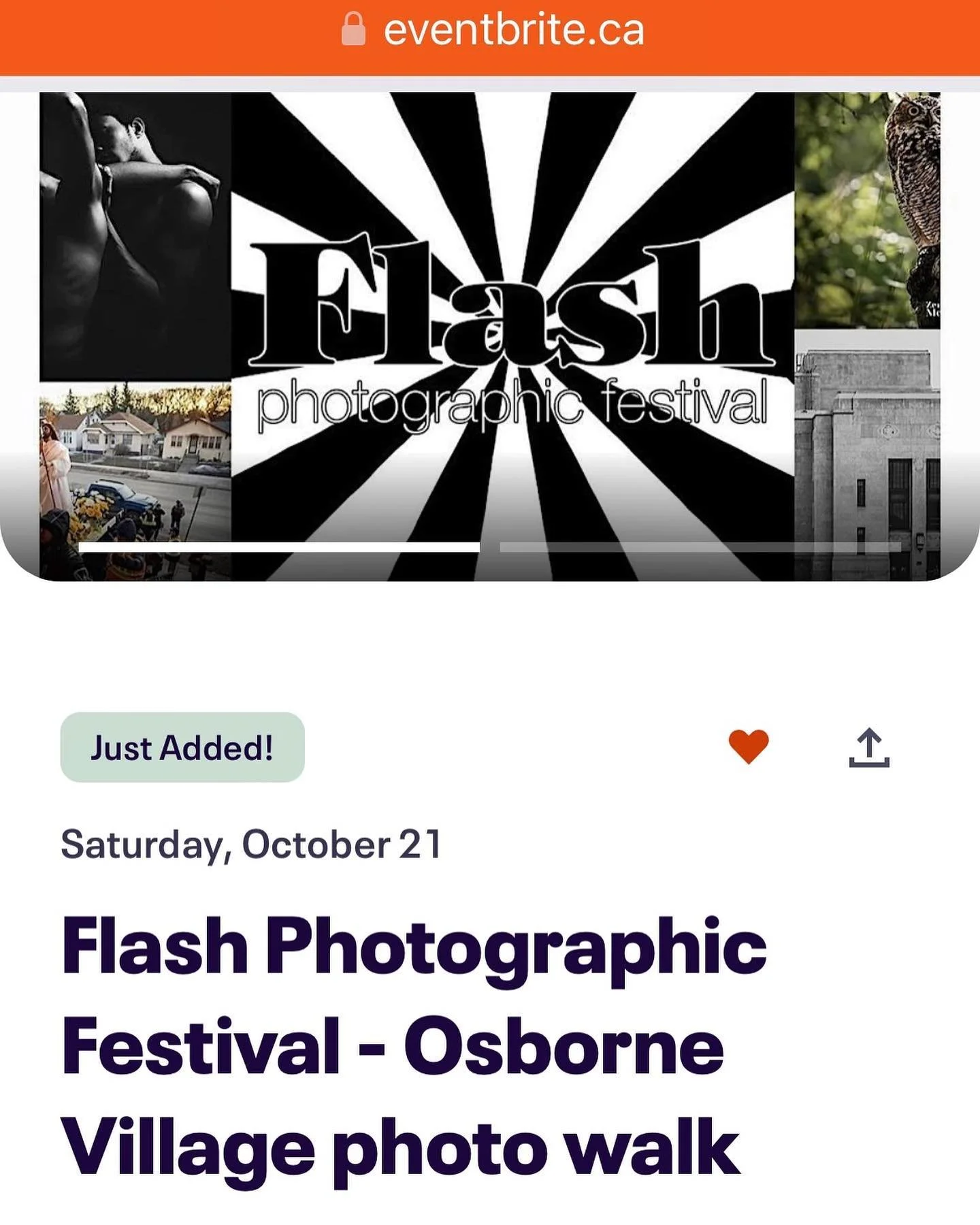 Flash Photographic Festival