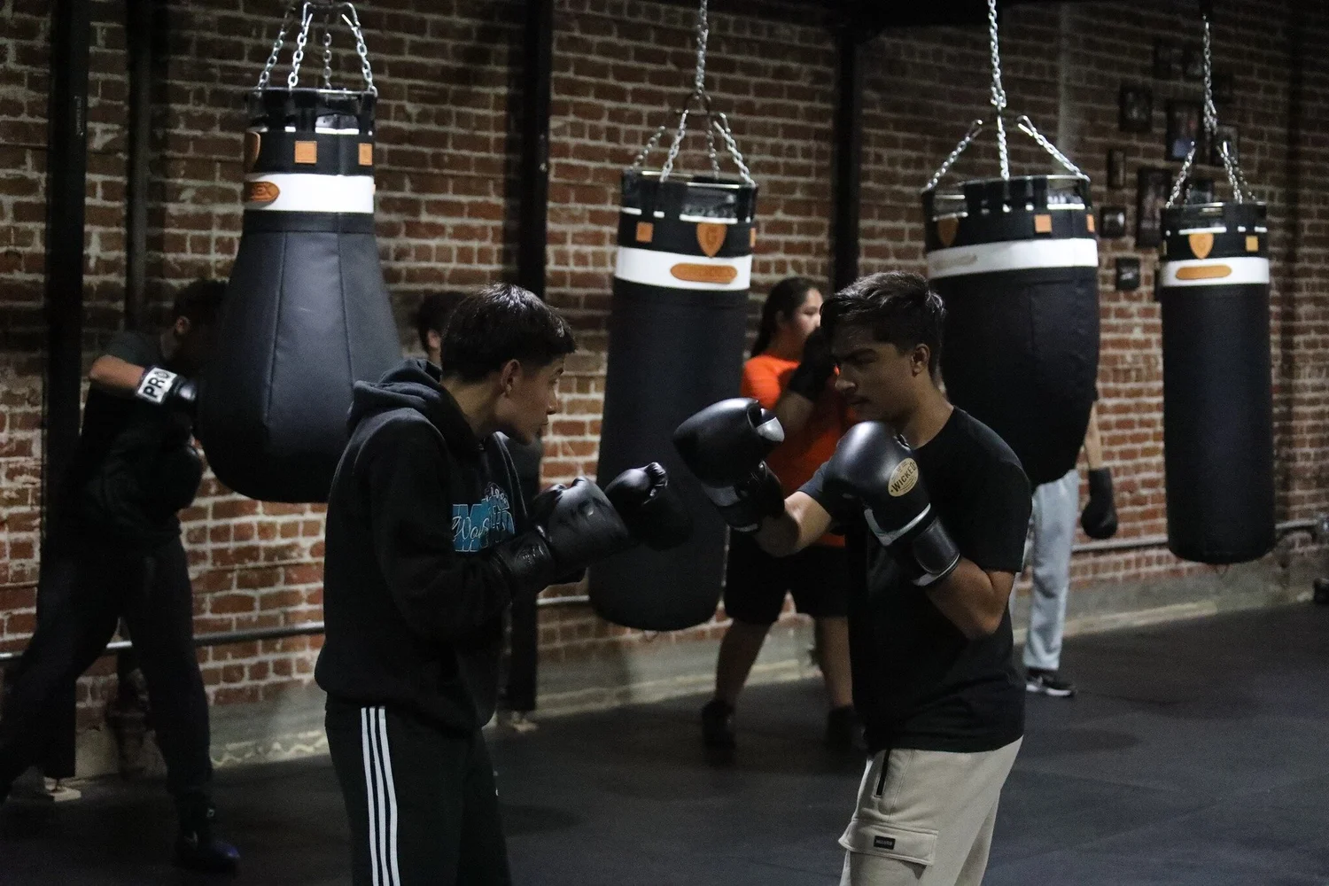 Kennel Boxing
