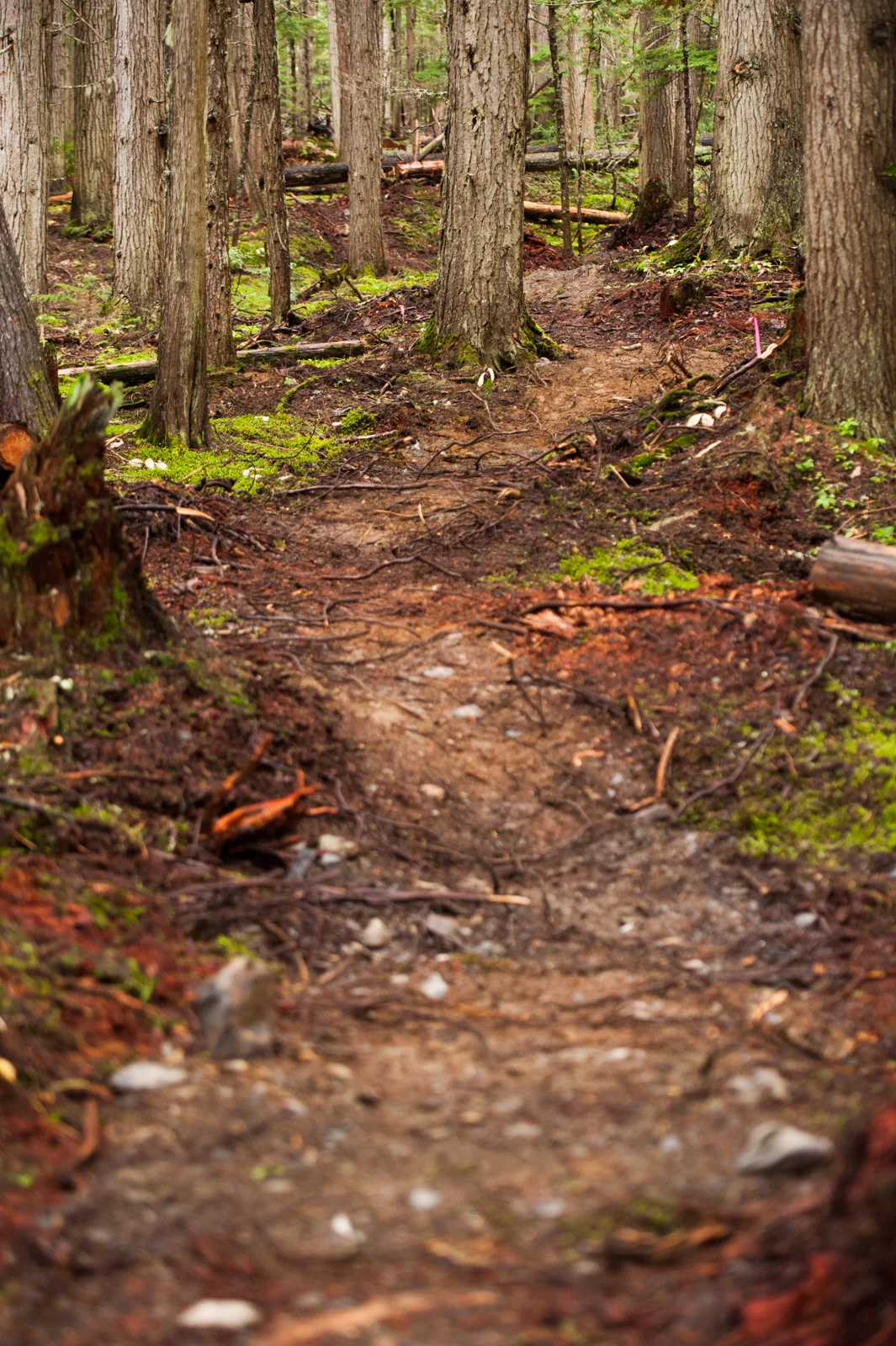 Contour Trails — Contour Trails