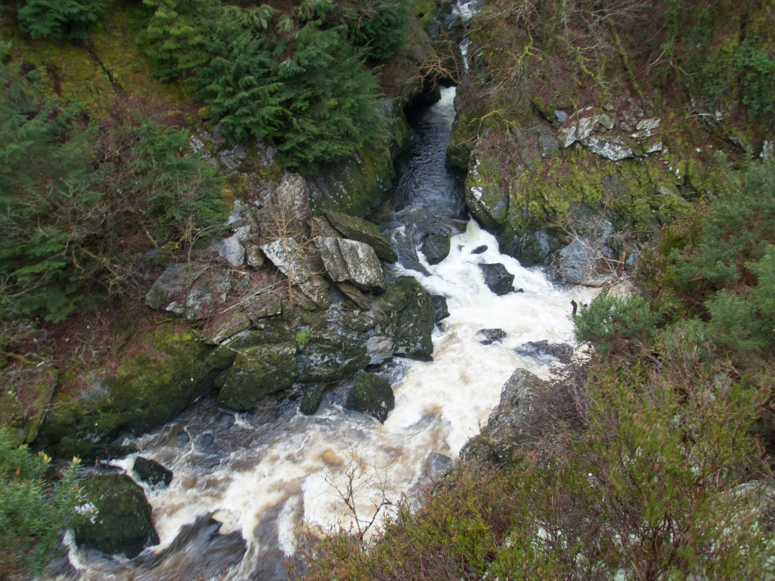 Conwy Falls - January 2020 — Hopeless Wanderer - Free walking routes ...