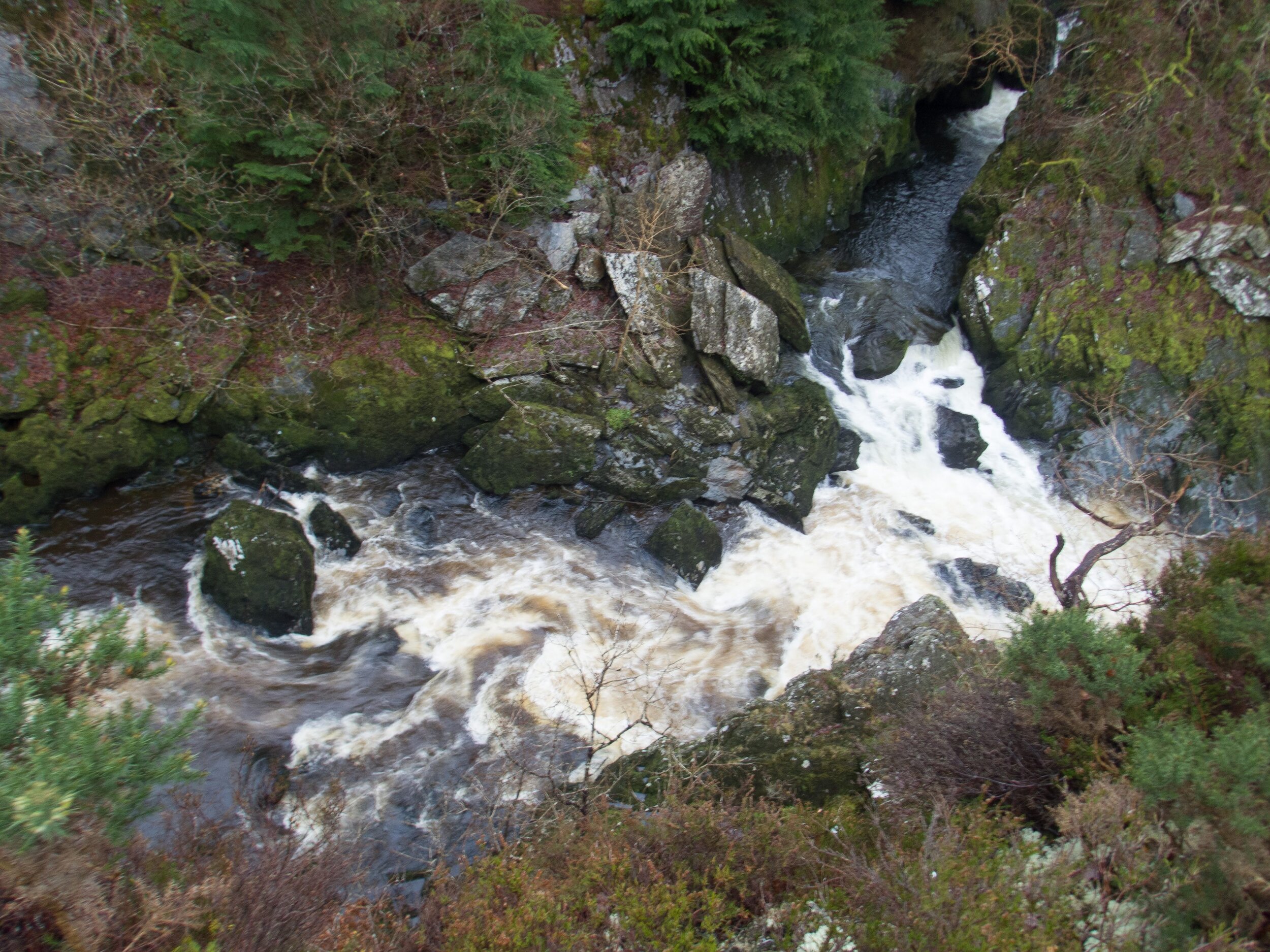 Conwy Falls - January 2020 — Hopeless Wanderer - Free walking routes ...