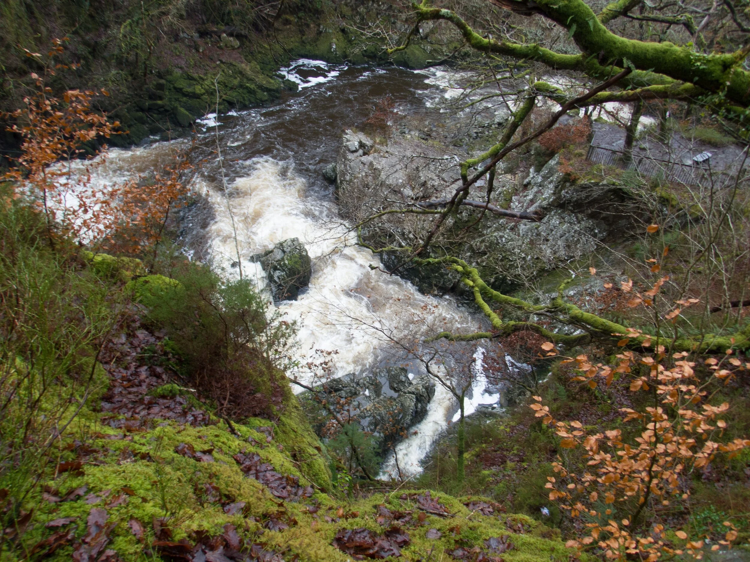 Conwy Falls - January 2020 — Hopeless Wanderer - Free walking routes ...