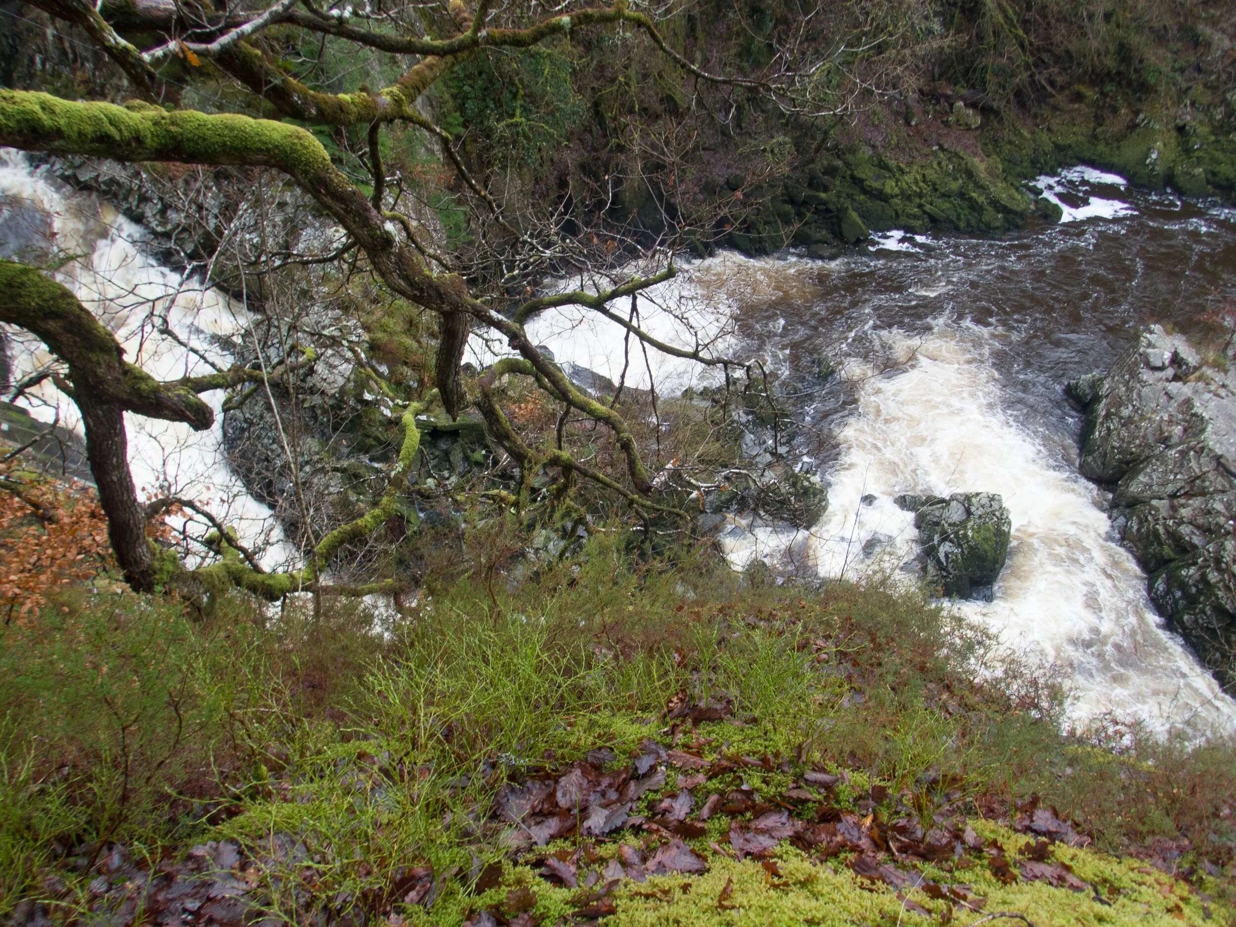 Conwy Falls - January 2020 — Hopeless Wanderer - Free walking routes ...