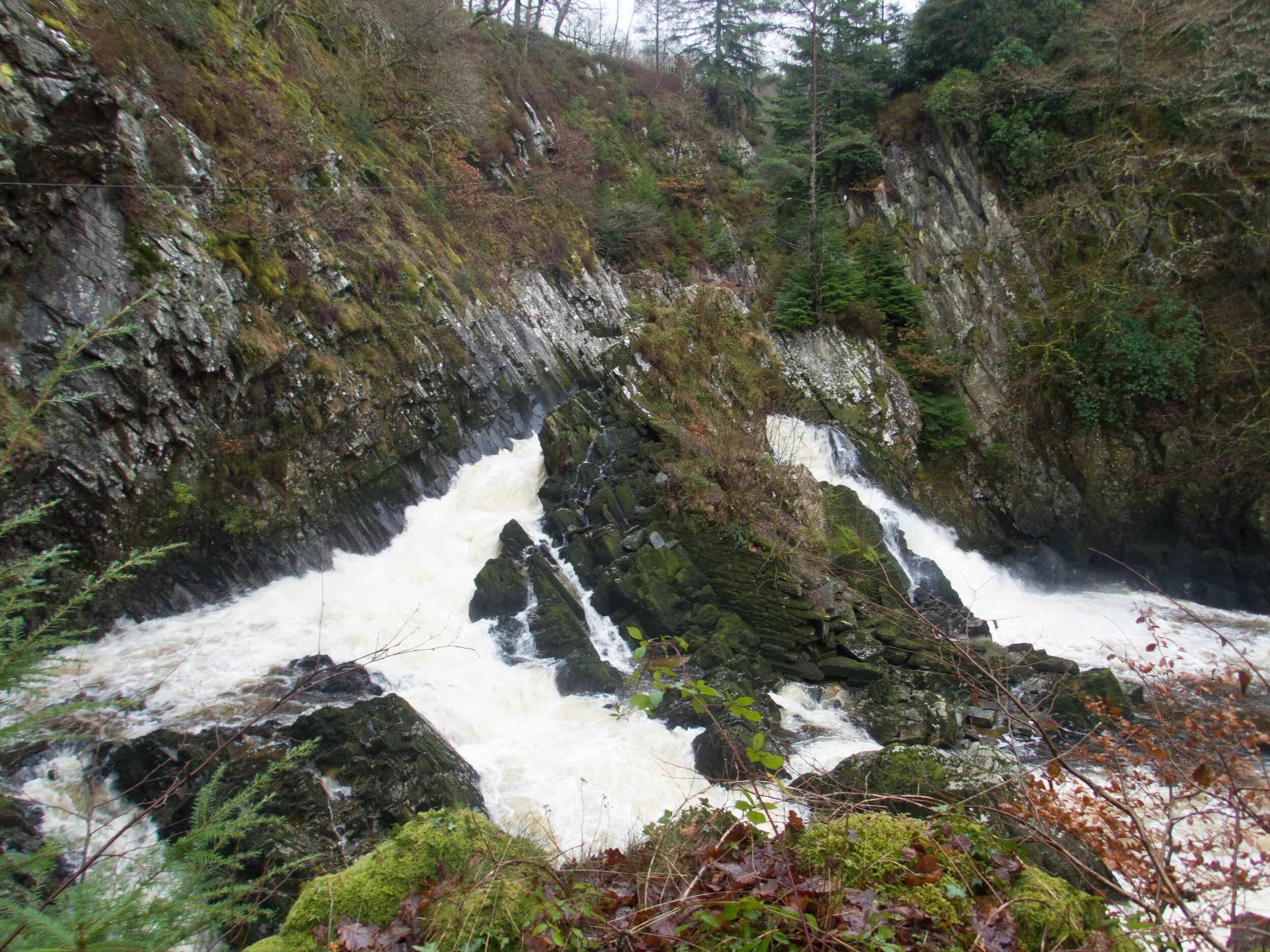 Conwy Falls - January 2020 — Hopeless Wanderer - Free walking routes ...