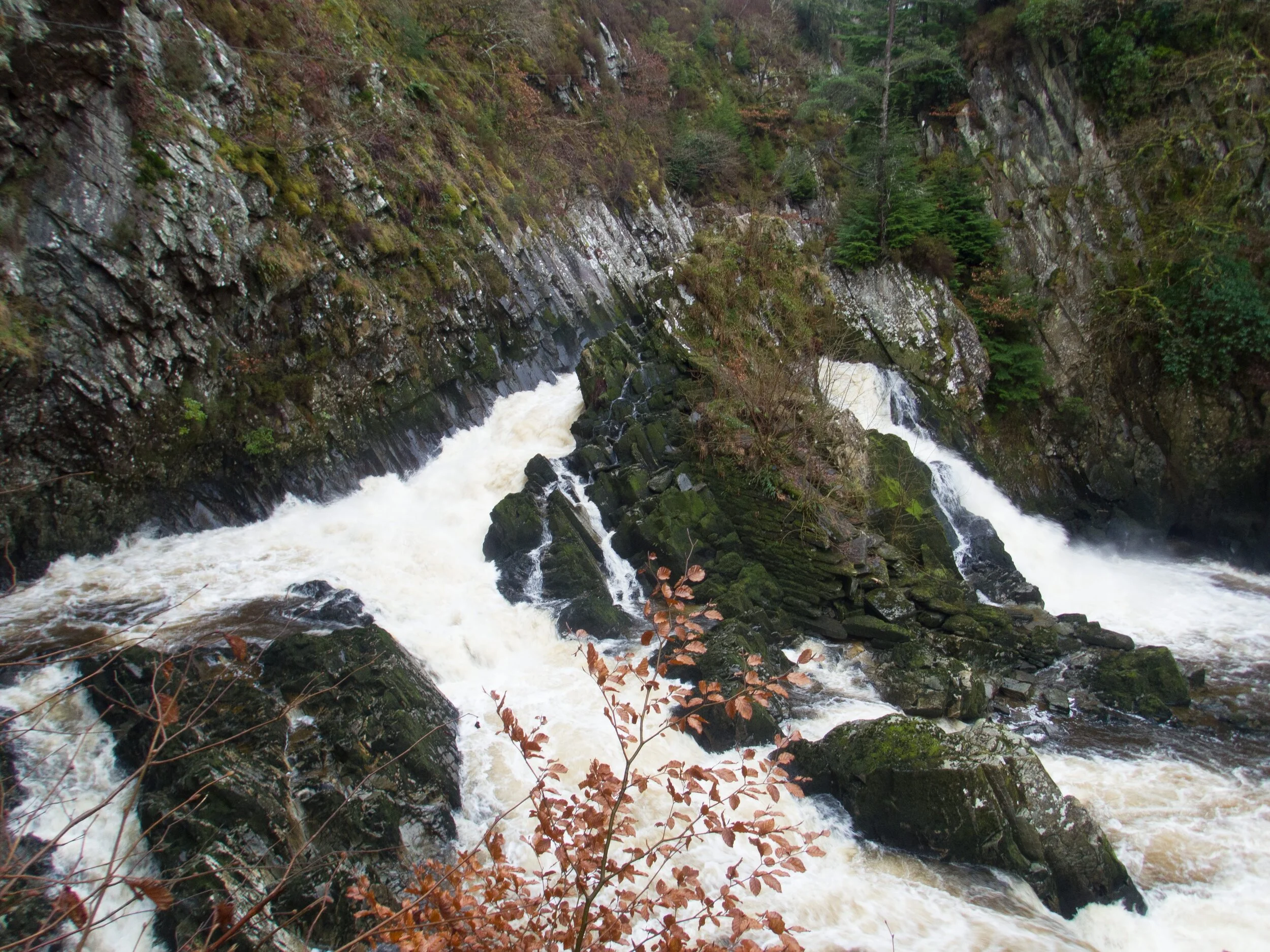 Conwy Falls - January 2020 — Hopeless Wanderer - Free walking routes ...