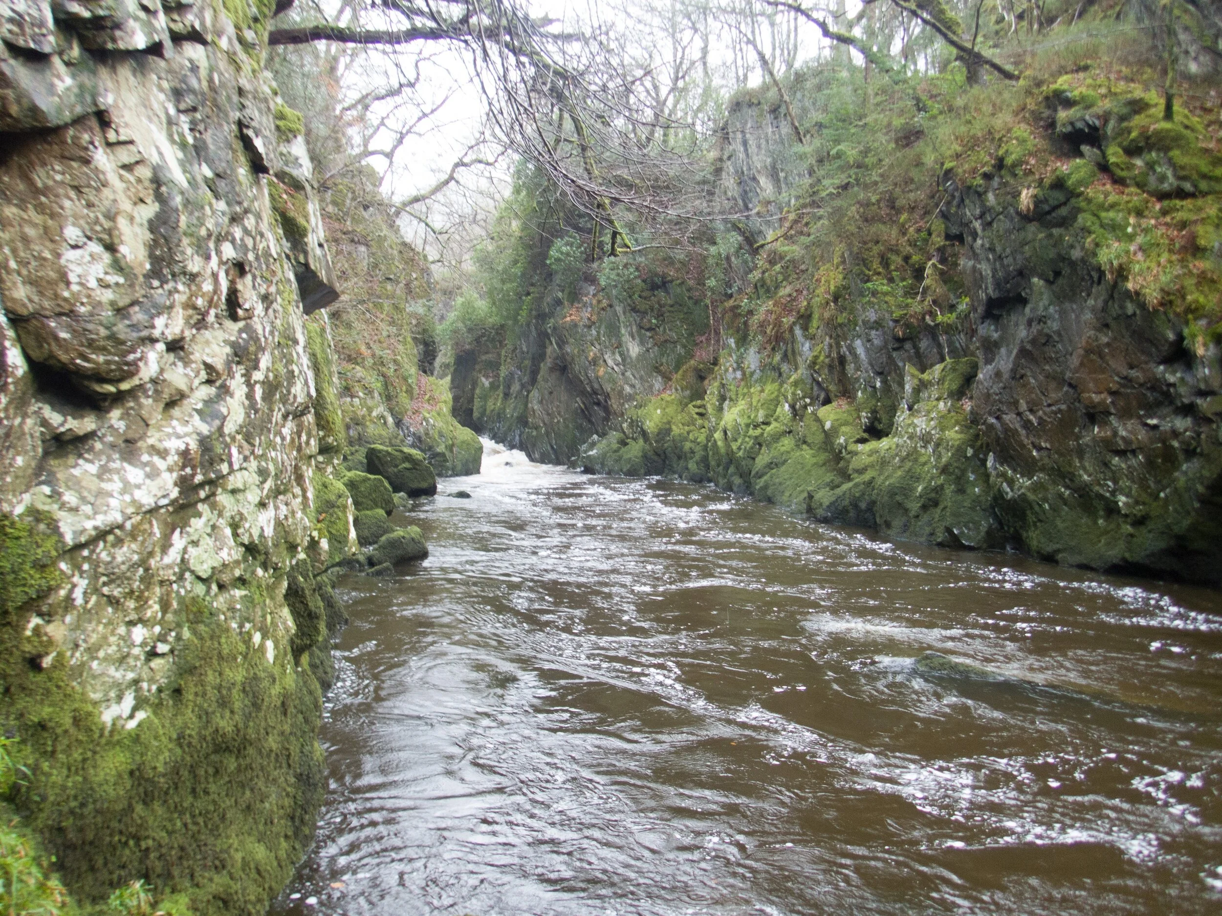 Conwy Falls - January 2020 — Hopeless Wanderer - Free walking routes ...