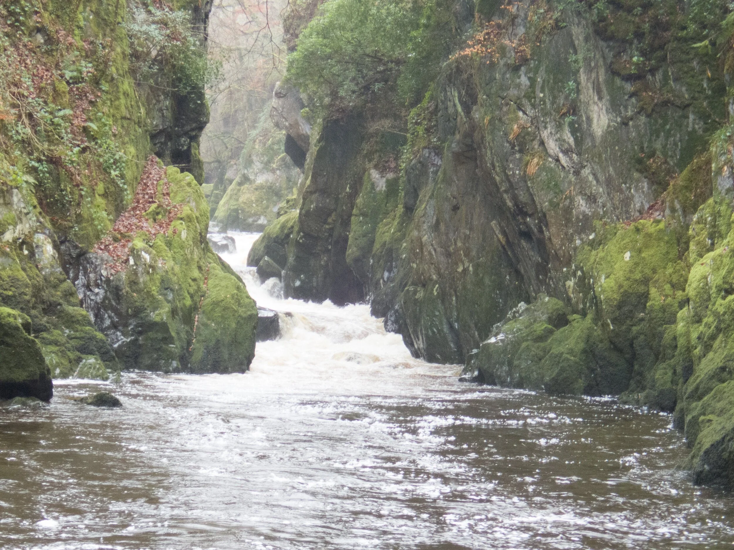 Conwy Falls - January 2020 — Hopeless Wanderer - Free walking routes ...