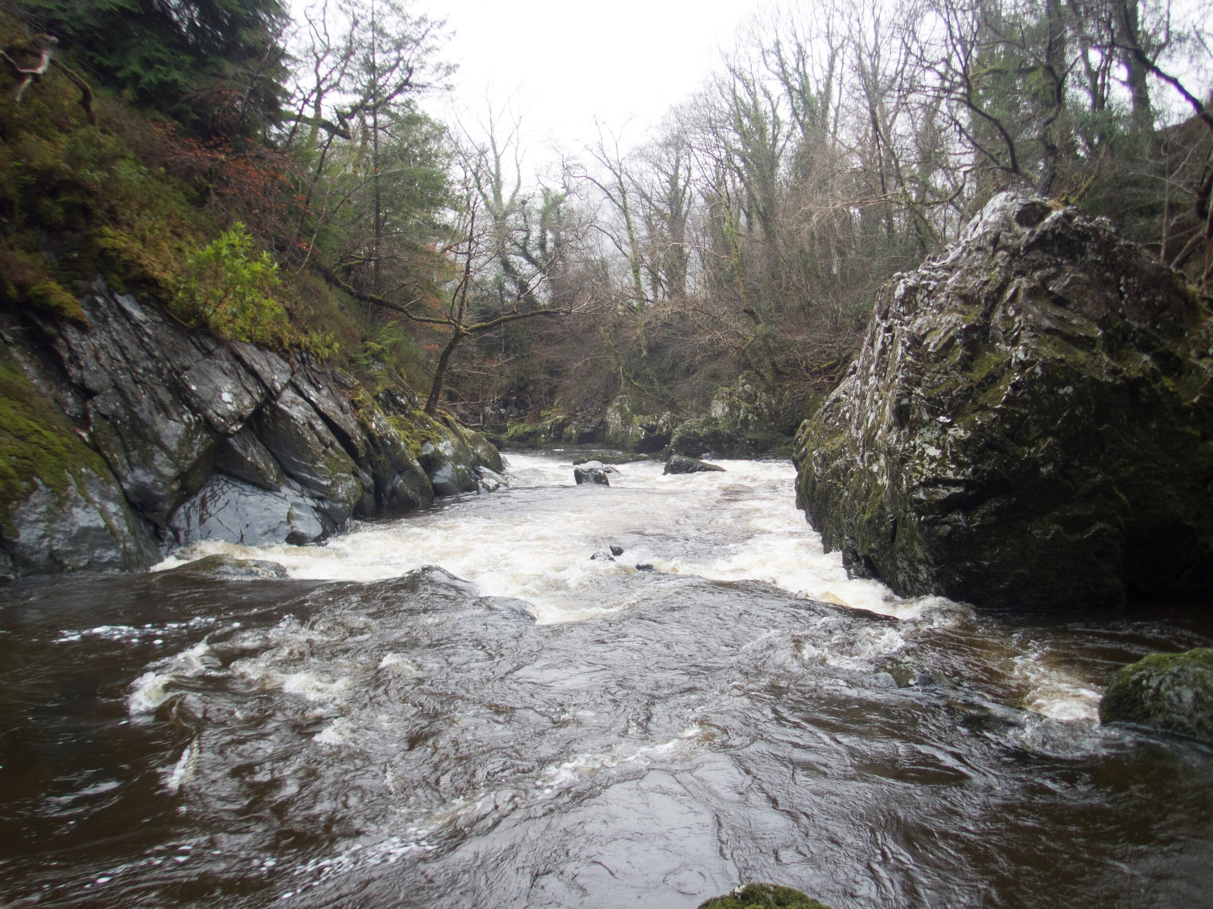Conwy Falls - January 2020 — Hopeless Wanderer - Free walking routes ...
