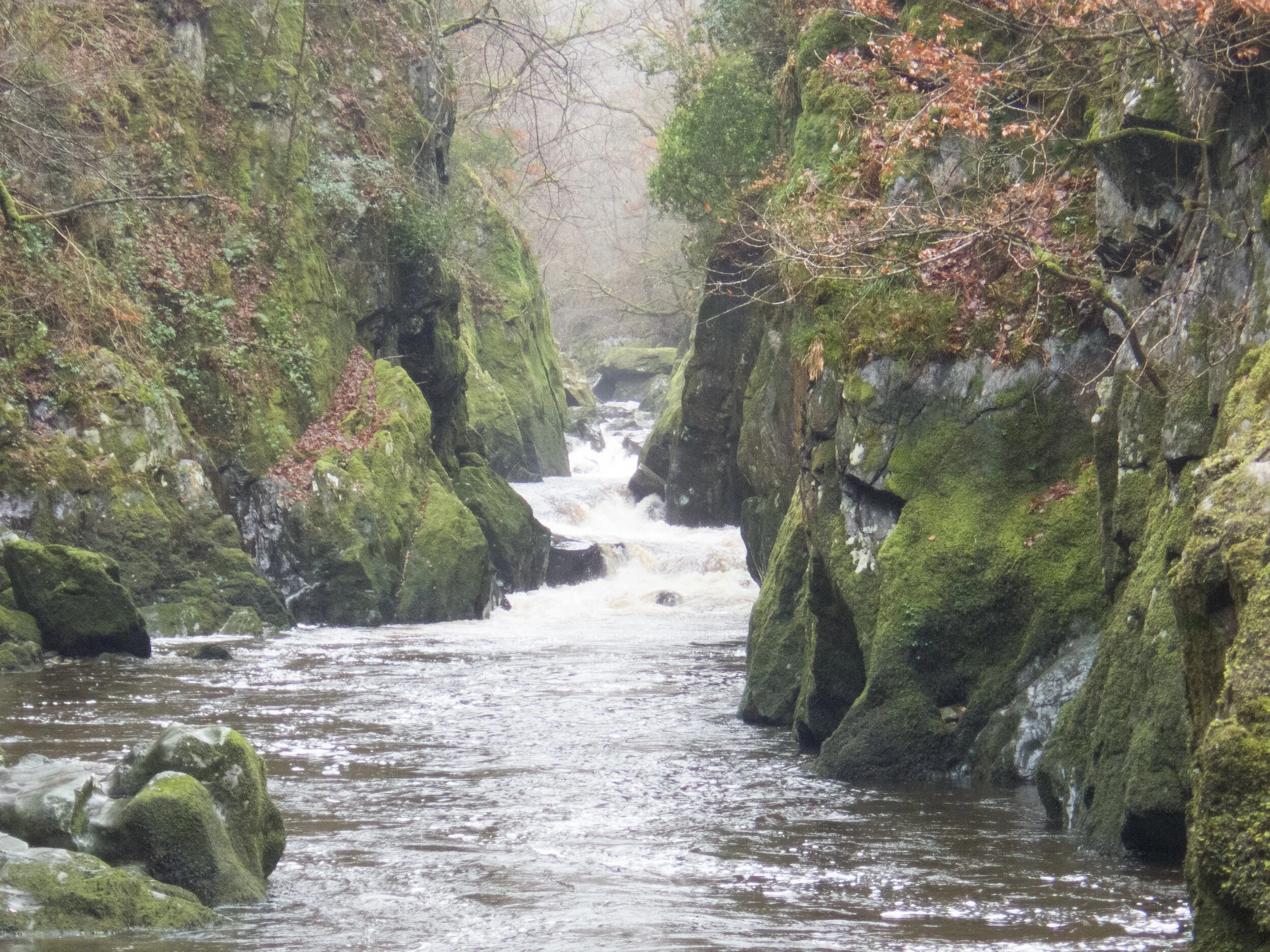 Conwy Falls - January 2020 — Hopeless Wanderer - Free walking routes ...