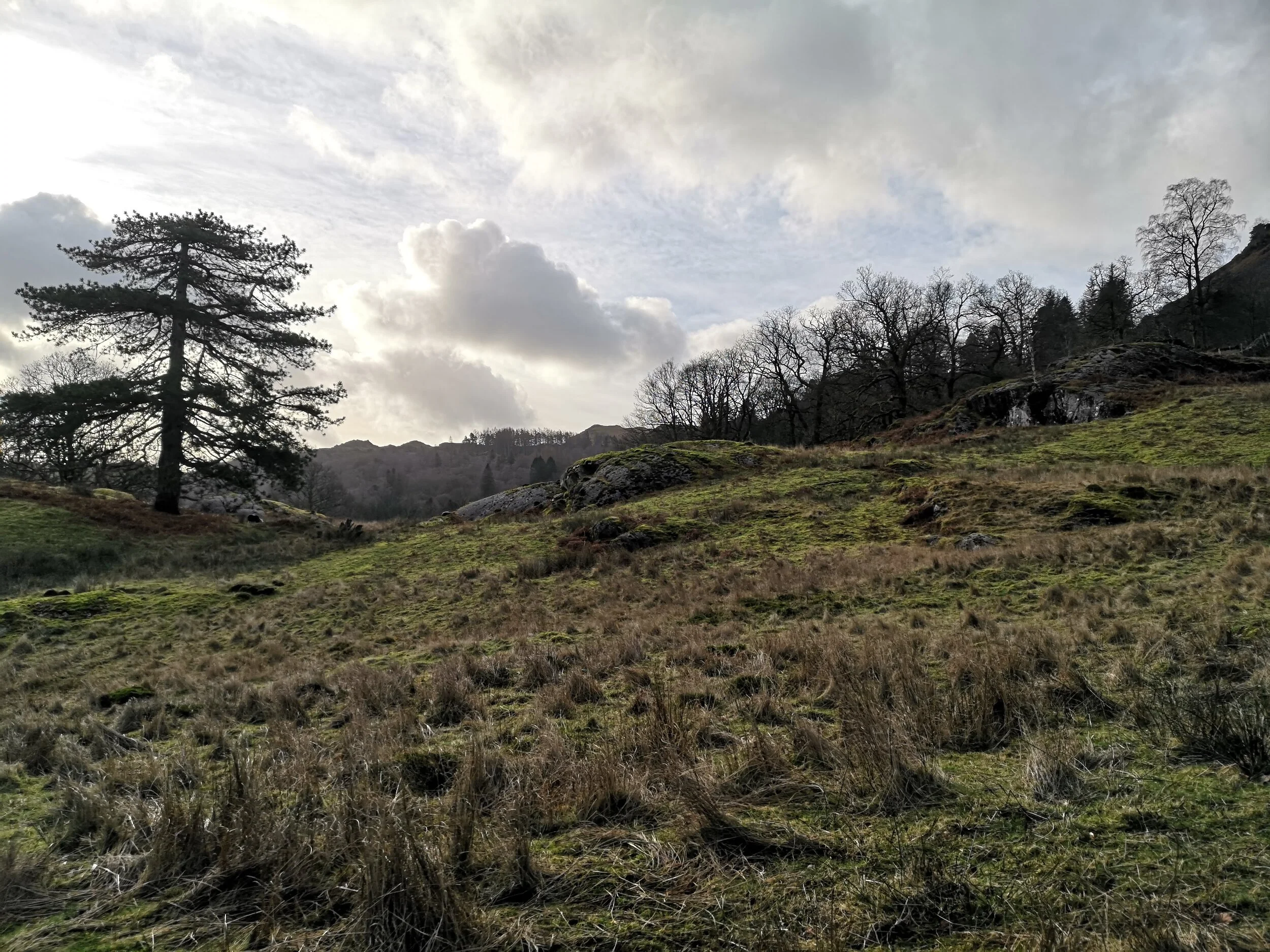 Silver How - Feb 2020 — Hopeless Wanderer - Free walking routes for the UK