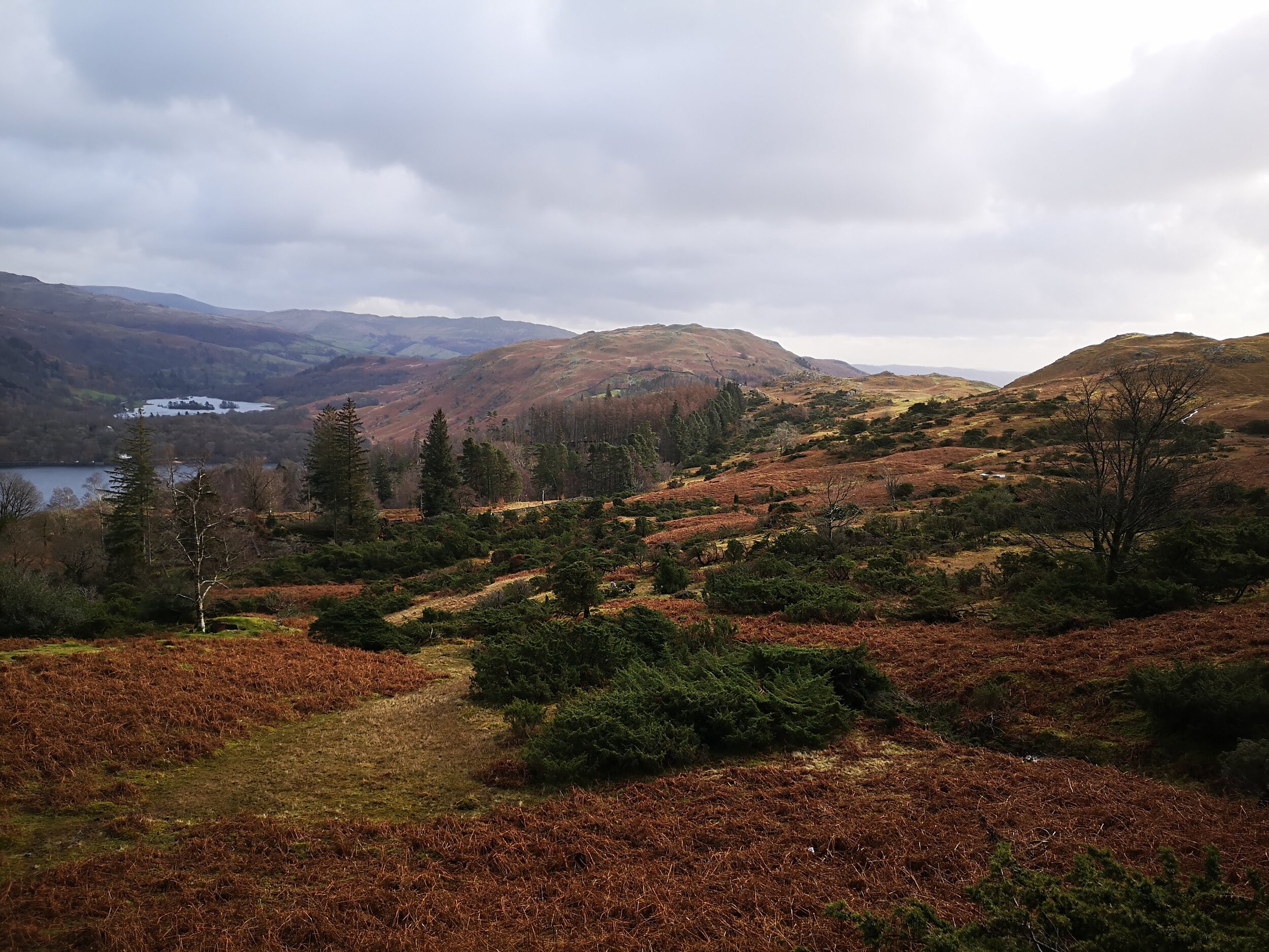 Silver How - Feb 2020 — Hopeless Wanderer - Free walking routes for the UK