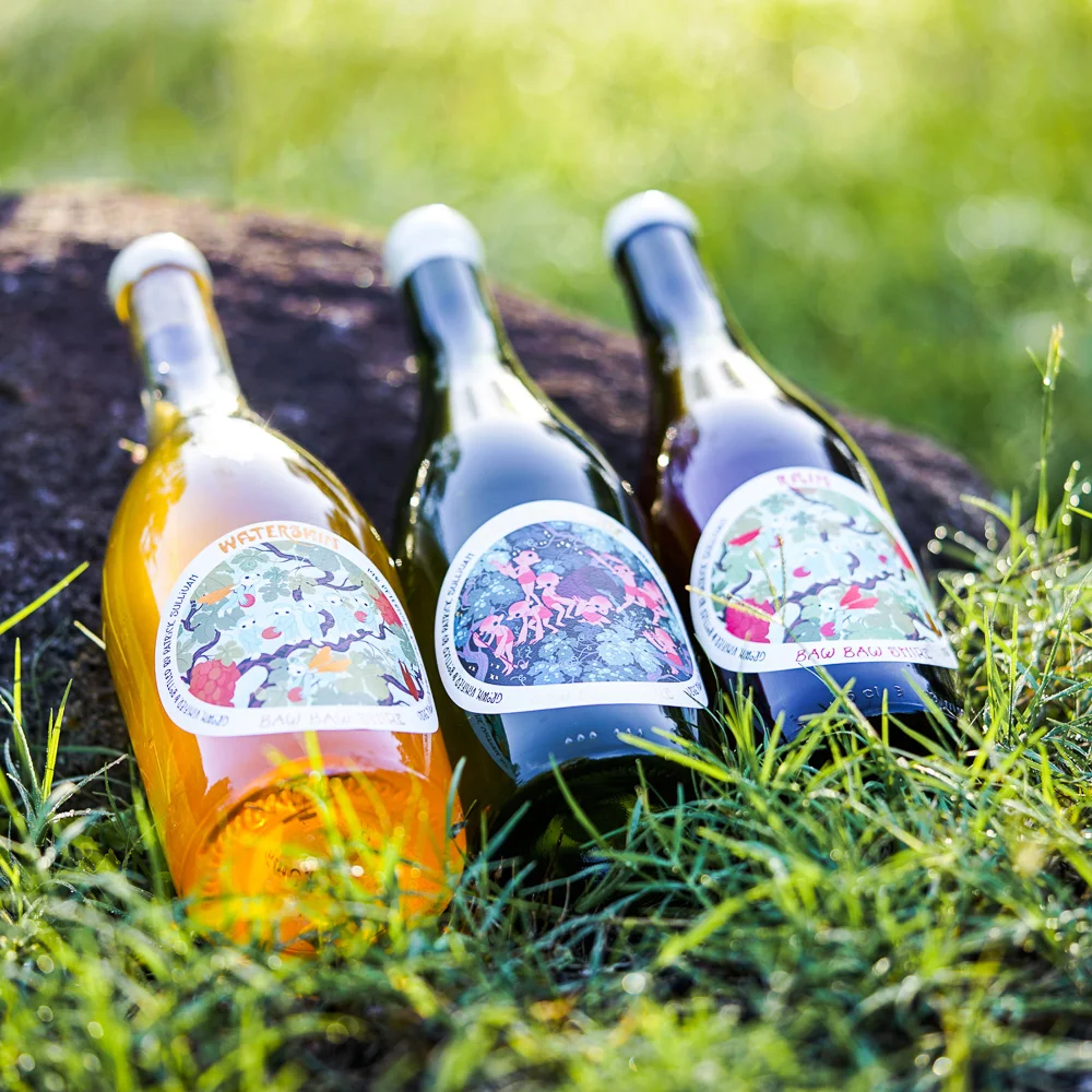 Patrick Sullivan — Naked Bunch