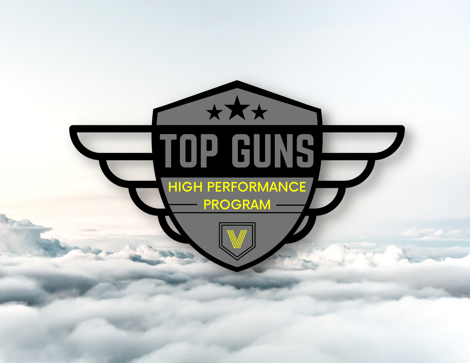 Baseball Training Services — Velo Baseball