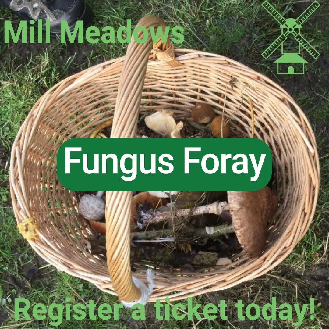 Mill Meadows Society