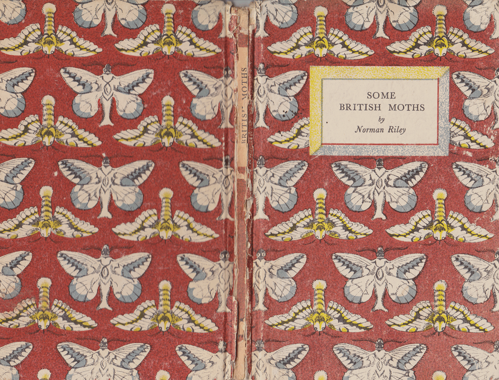 enid marx — Finding Patterns
