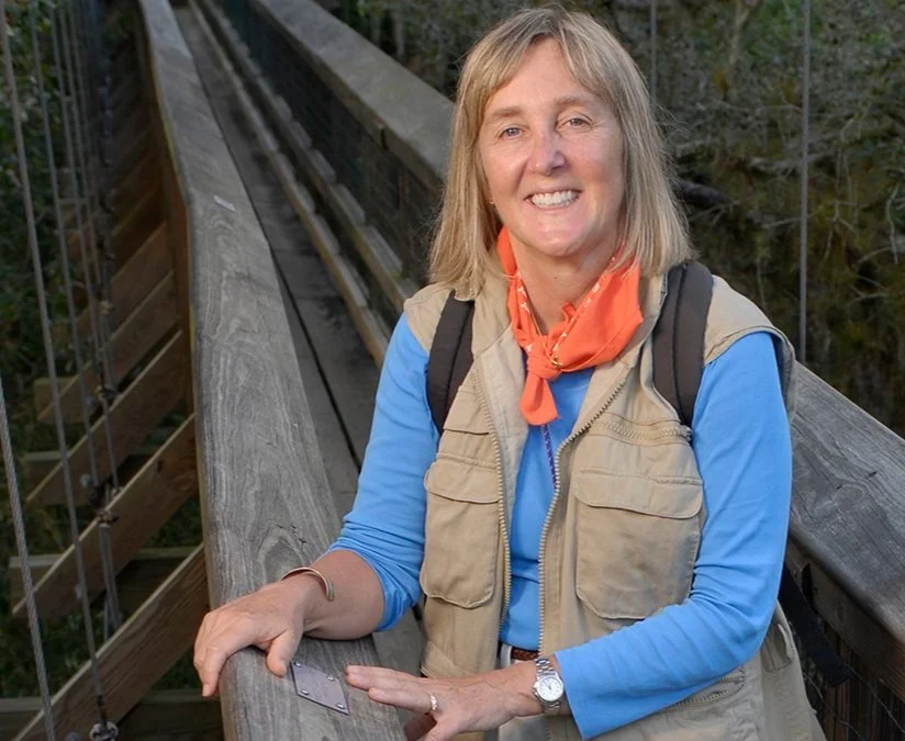 Episode 11: Meg Lowman - Canopy Meg — Noorden Productions