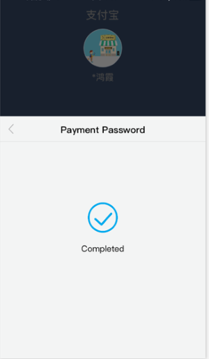 Alipay payment method — Silkpay.eu