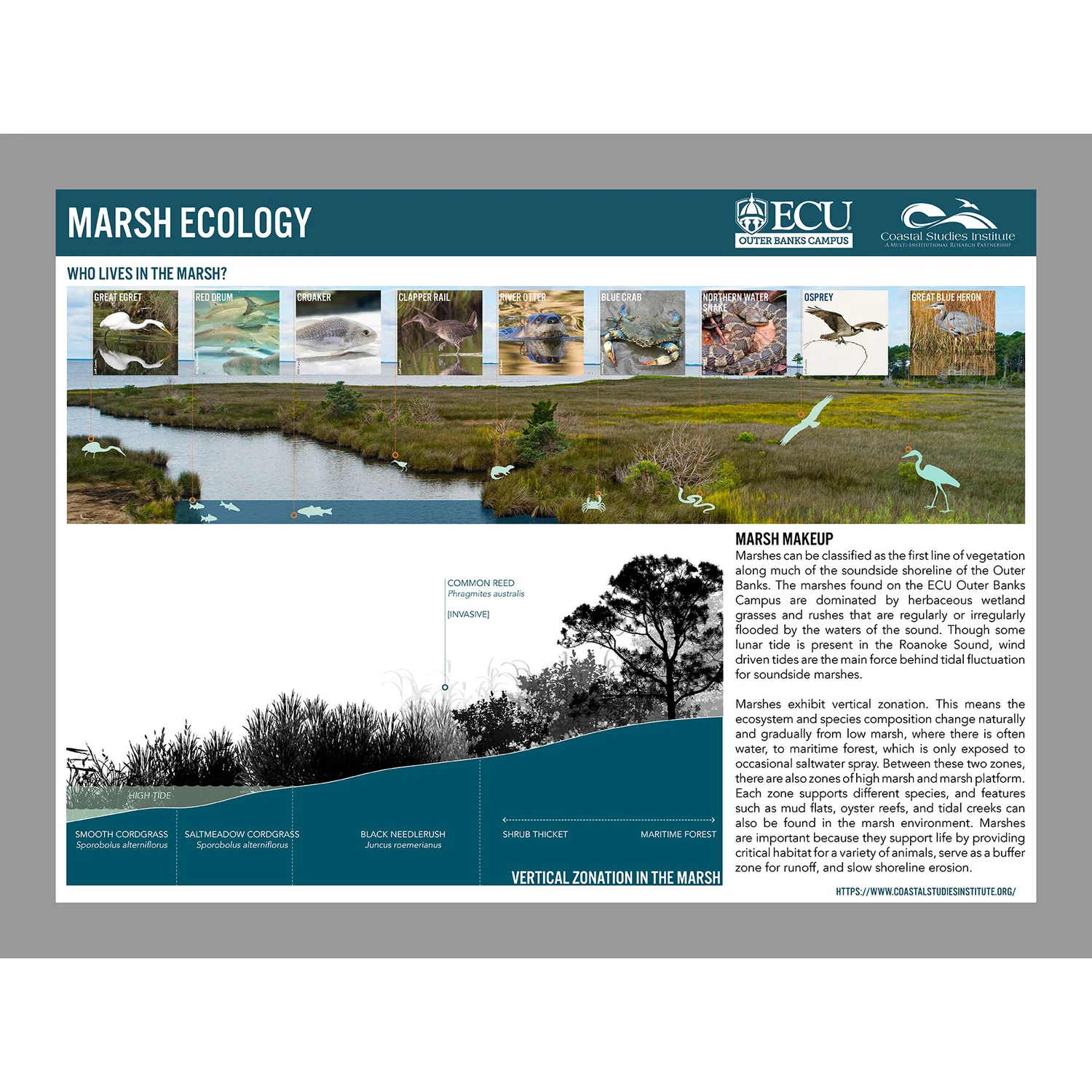 ECU OBX Campus Educational Signage — COASTAL DYNAMICS DESIGN LAB