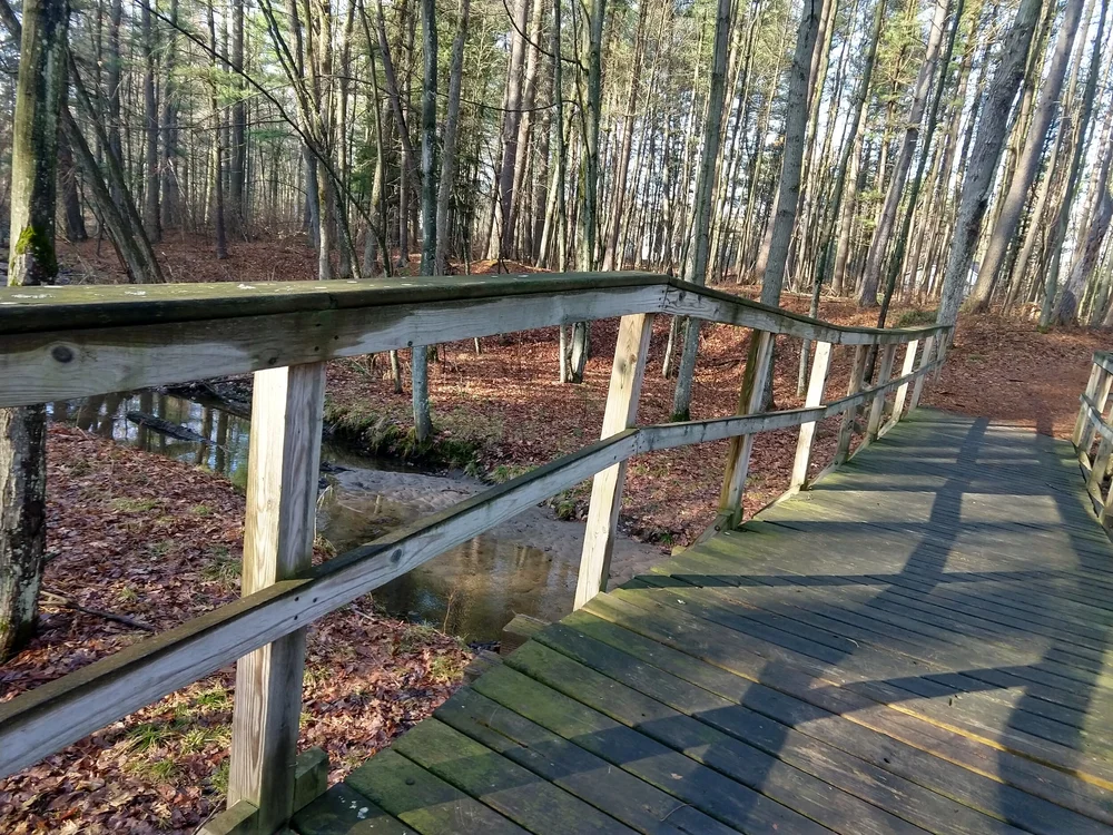 Gaska Gallop 5k Details — IRONBULL