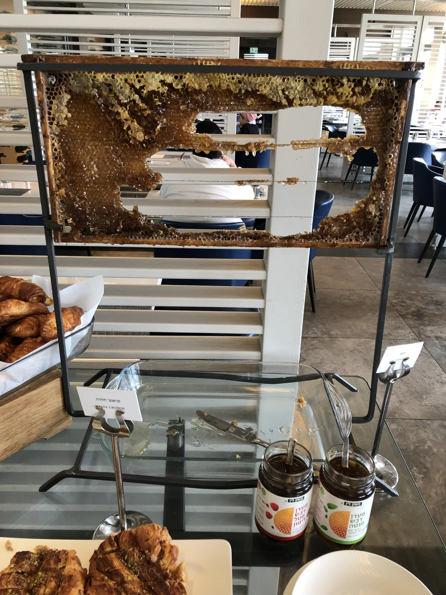 Israel. Day 7. Into the Banana Room. — The Kaplan Family Follies