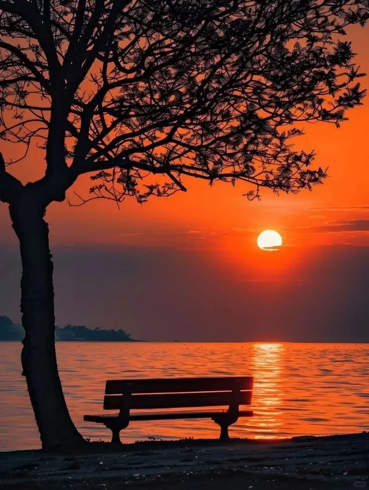 Putting Faith To Work: A Dog's Perspective — Old Lazy Dog