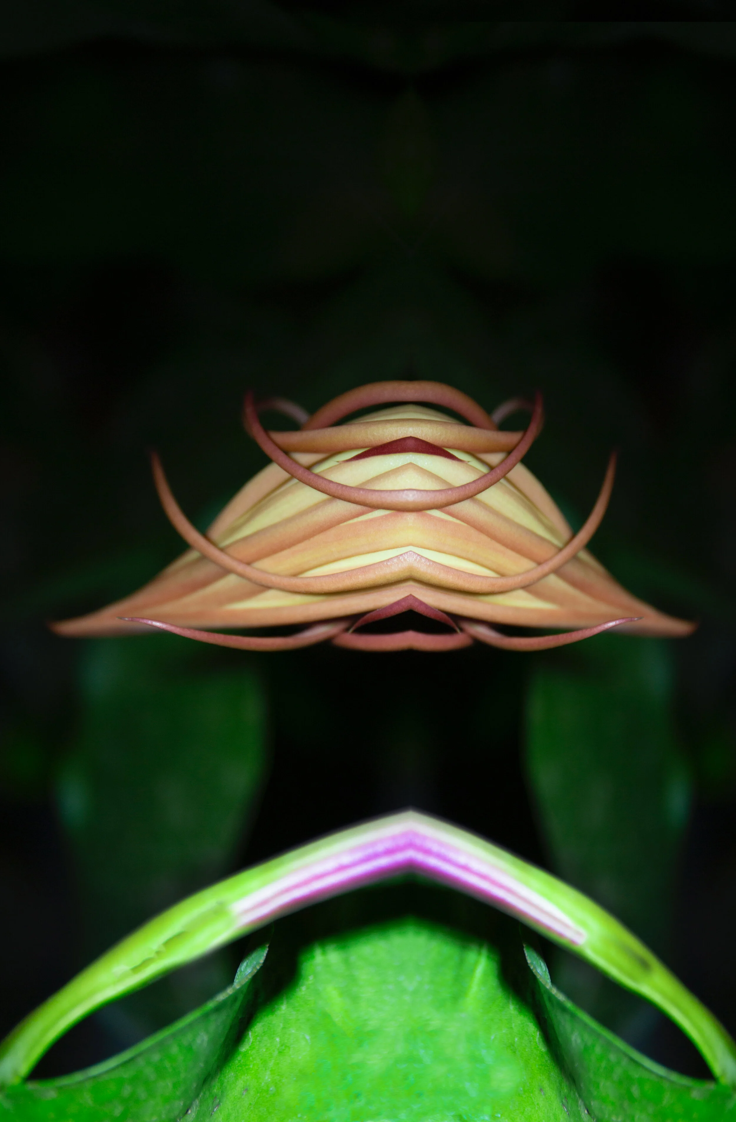 Michael Warren PhotoFantasy-Michael Warren PhotoFantasy