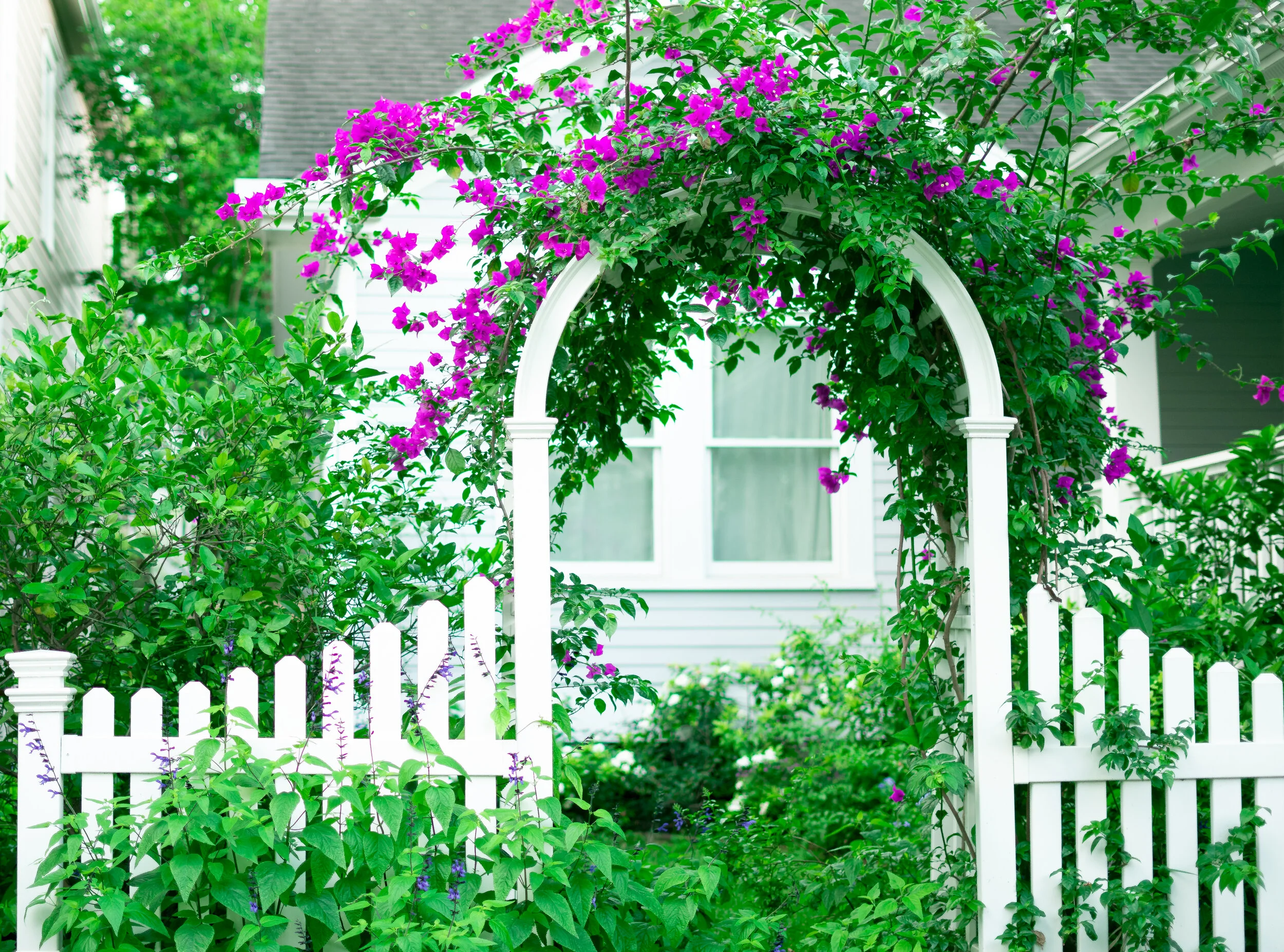 Our Neighborhood — Sunset Heights